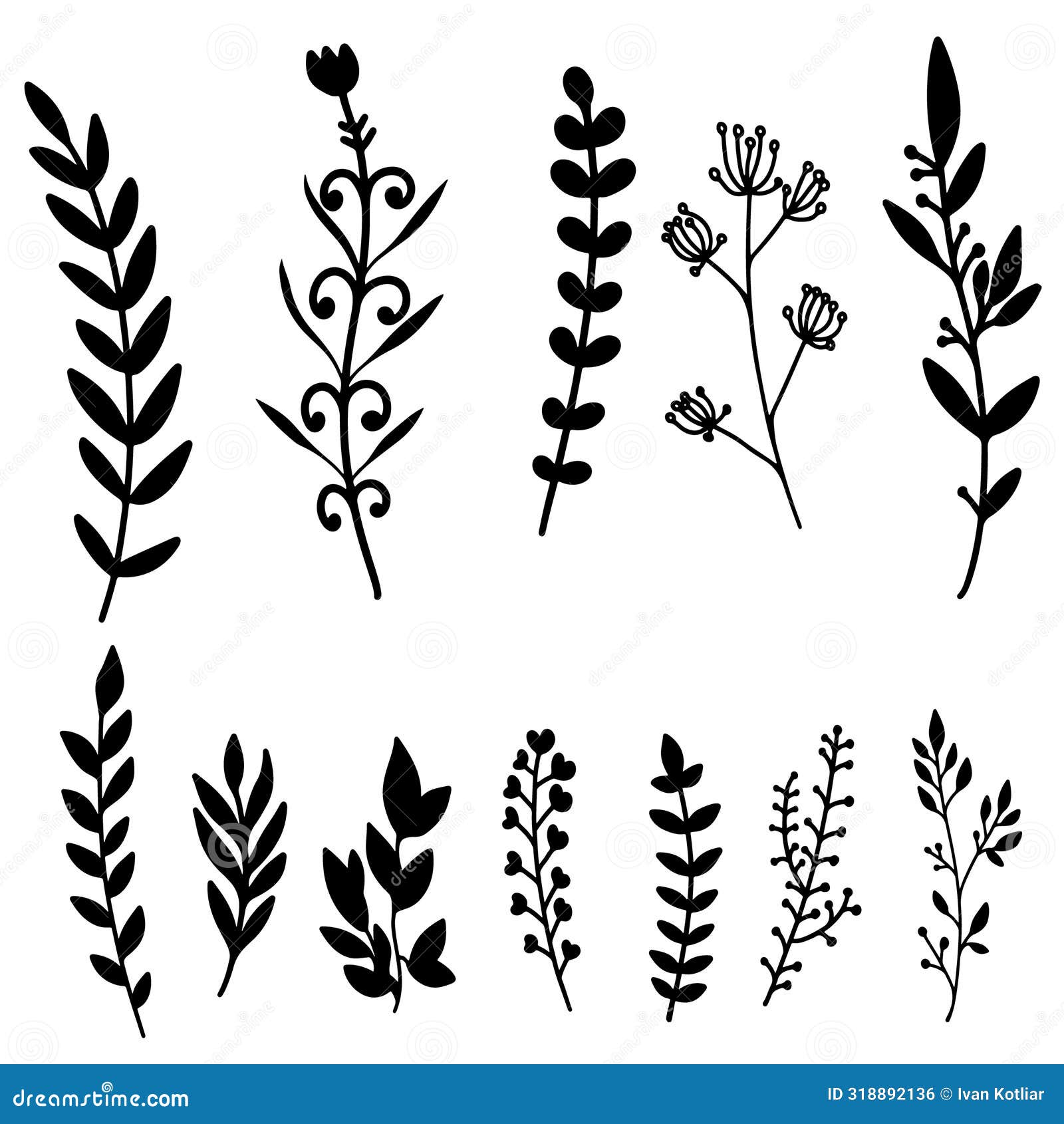 Set of Hand Drawn Floral Branches. Design Element for Decoration Stock ...