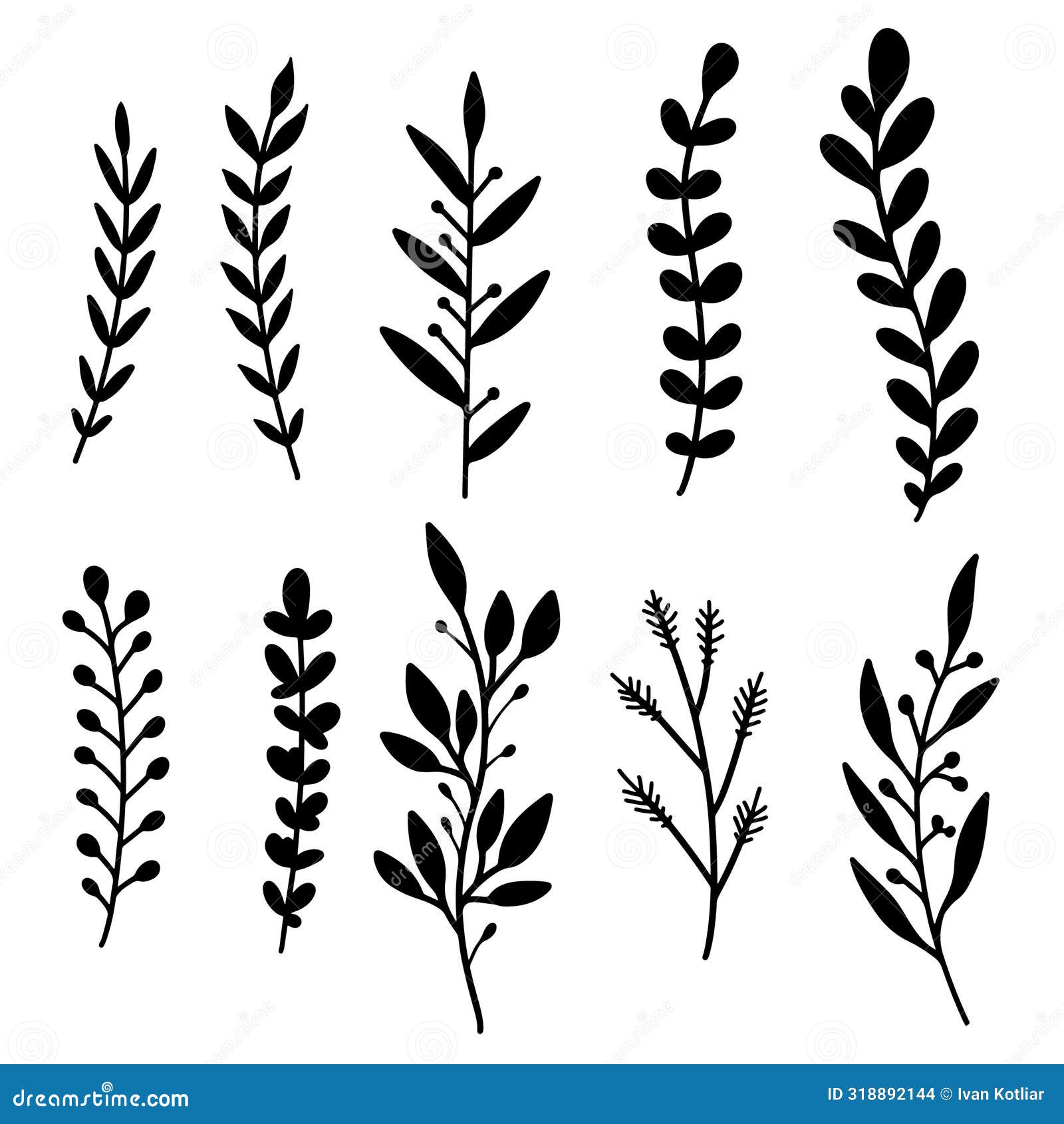 Set of Hand Drawn Floral Branches. Design Element for Decoration Stock ...