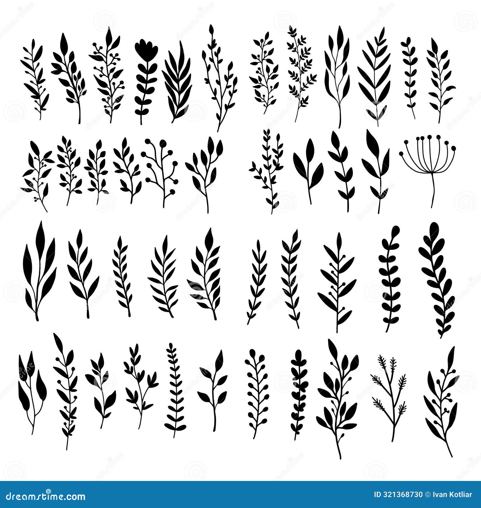 Set of Hand Drawn Floral Branches. Design Element for Decoration Stock ...