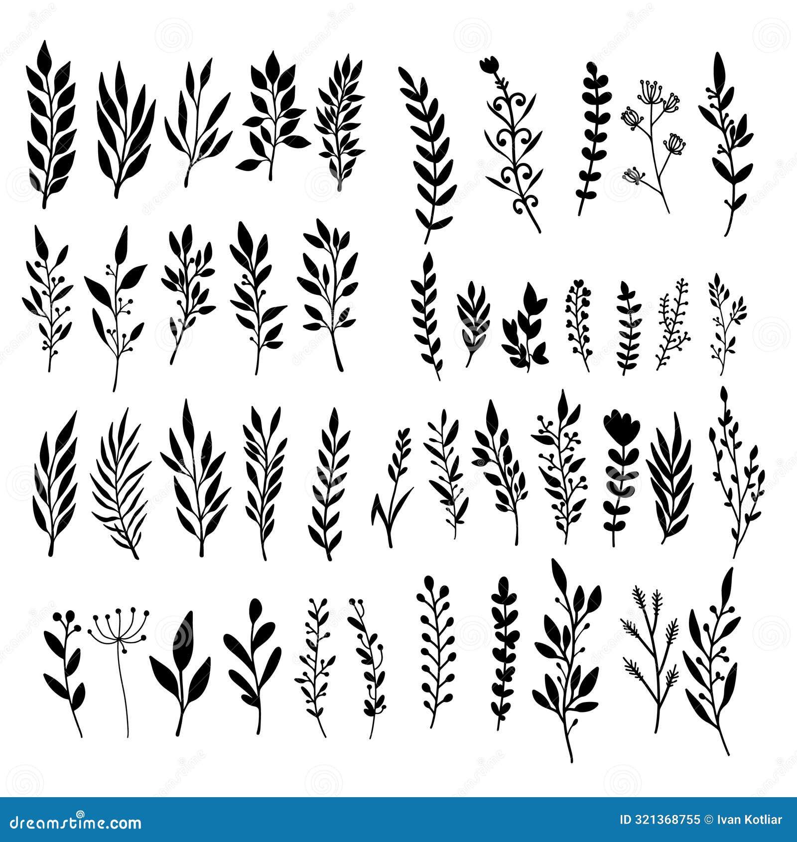 Set of Hand Drawn Floral Branches. Design Element for Decoration Stock ...