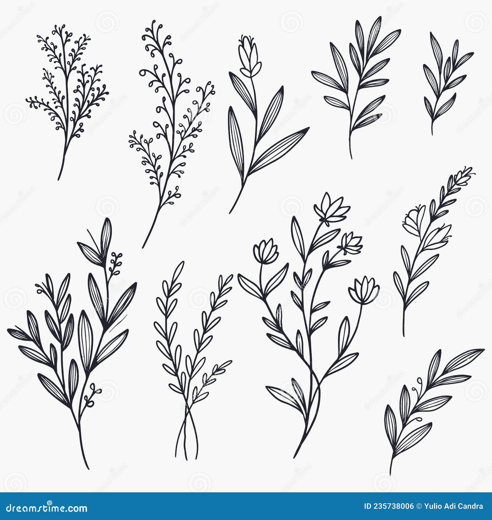 Set of Hand Drawn Floral Decorative Elements Vector Design. Floral ...
