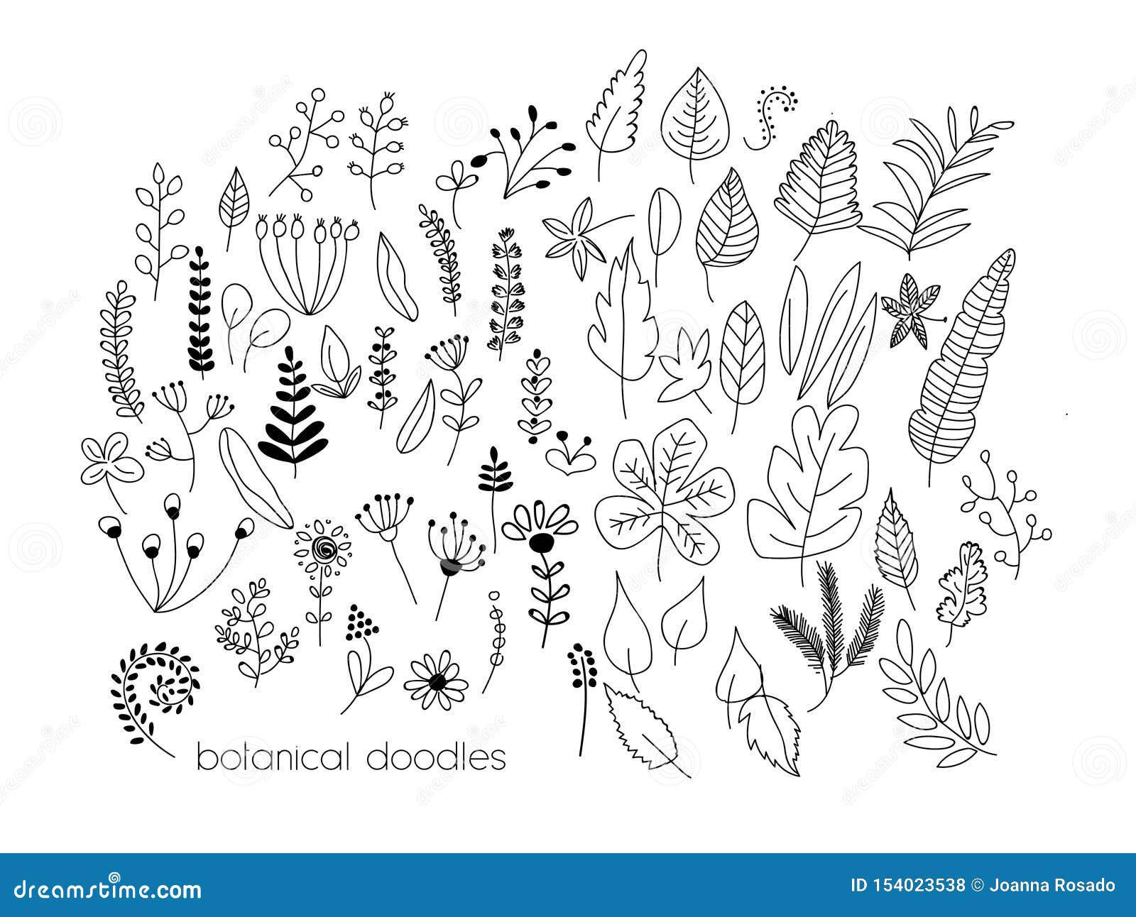 Set of Hand Drawn Floral Elements. Stock Vector - Illustration of ...