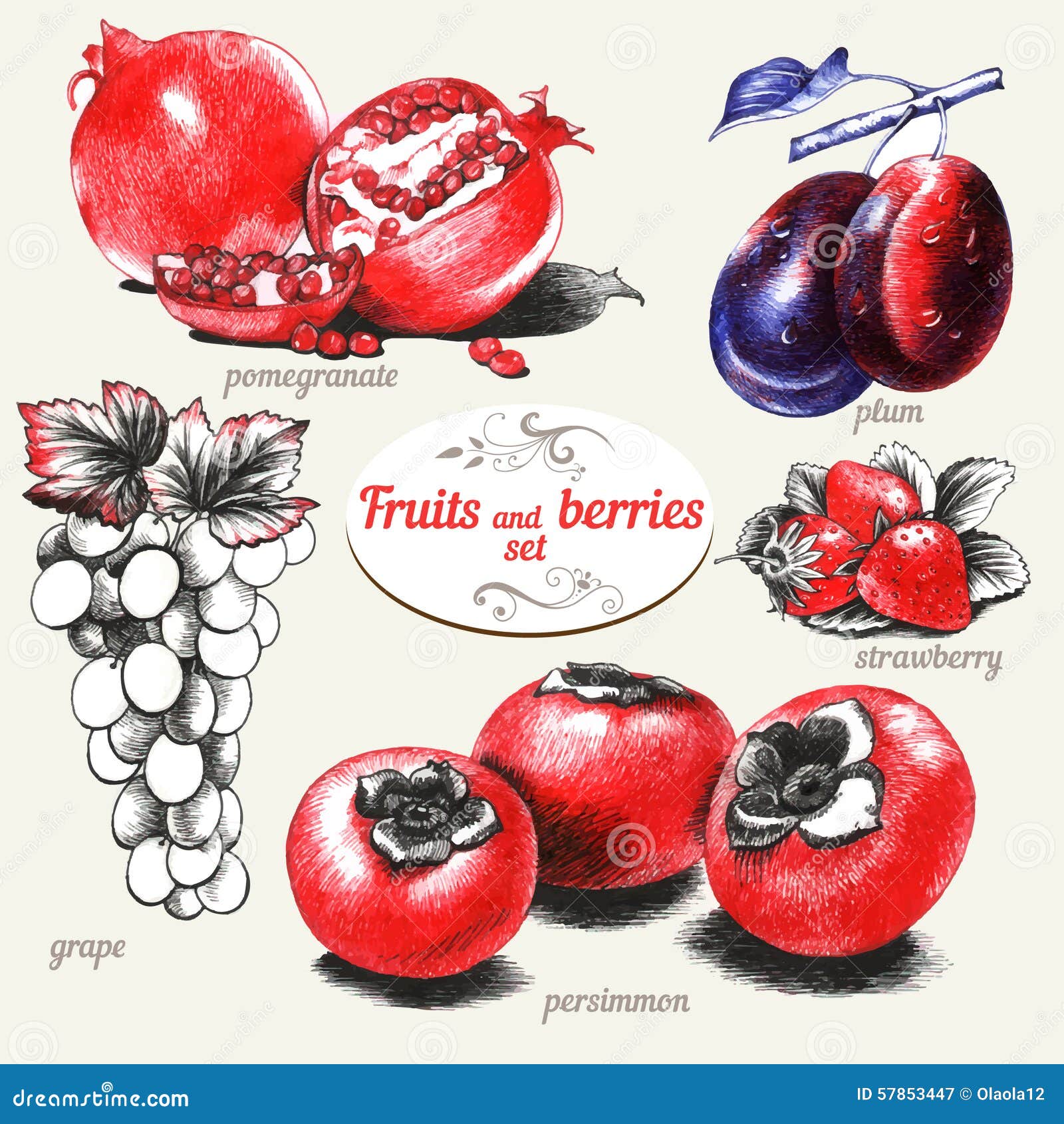 Set of Hand Drawn Fruits and Berries Stock Vector - Illustration of ...