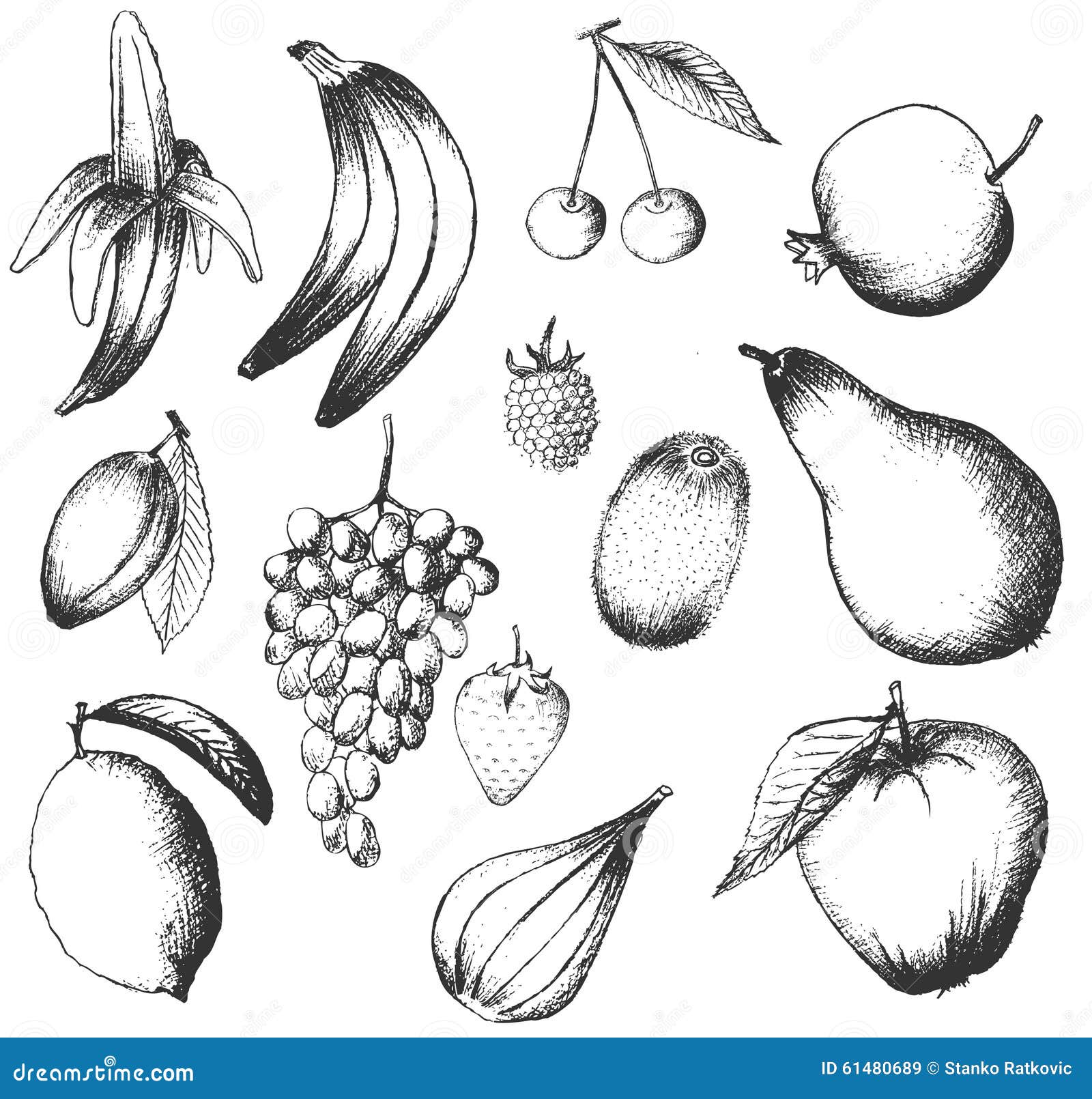 Set of hand drawn fruits stock illustration. Illustration of isolated ...