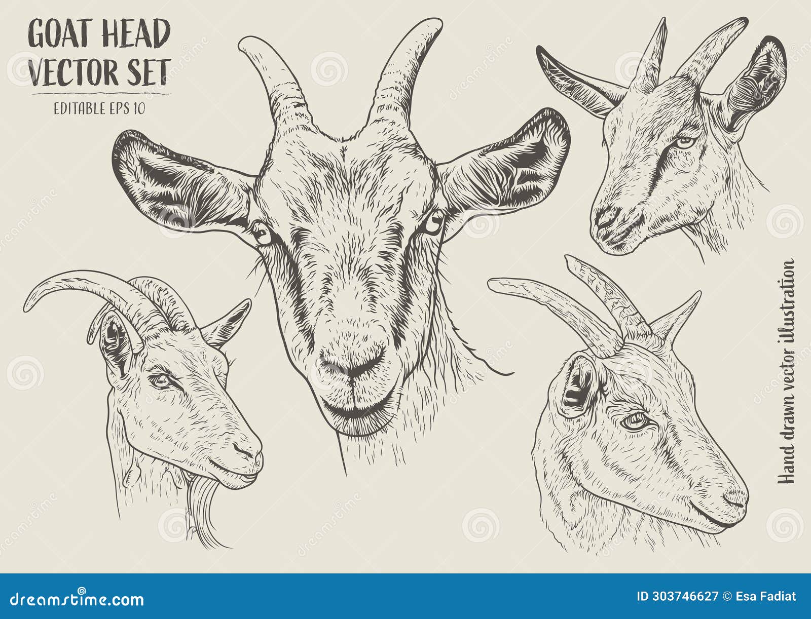 Set of Hand Drawn Goat Heads. Vector Illustration in Sketch Style Stock ...