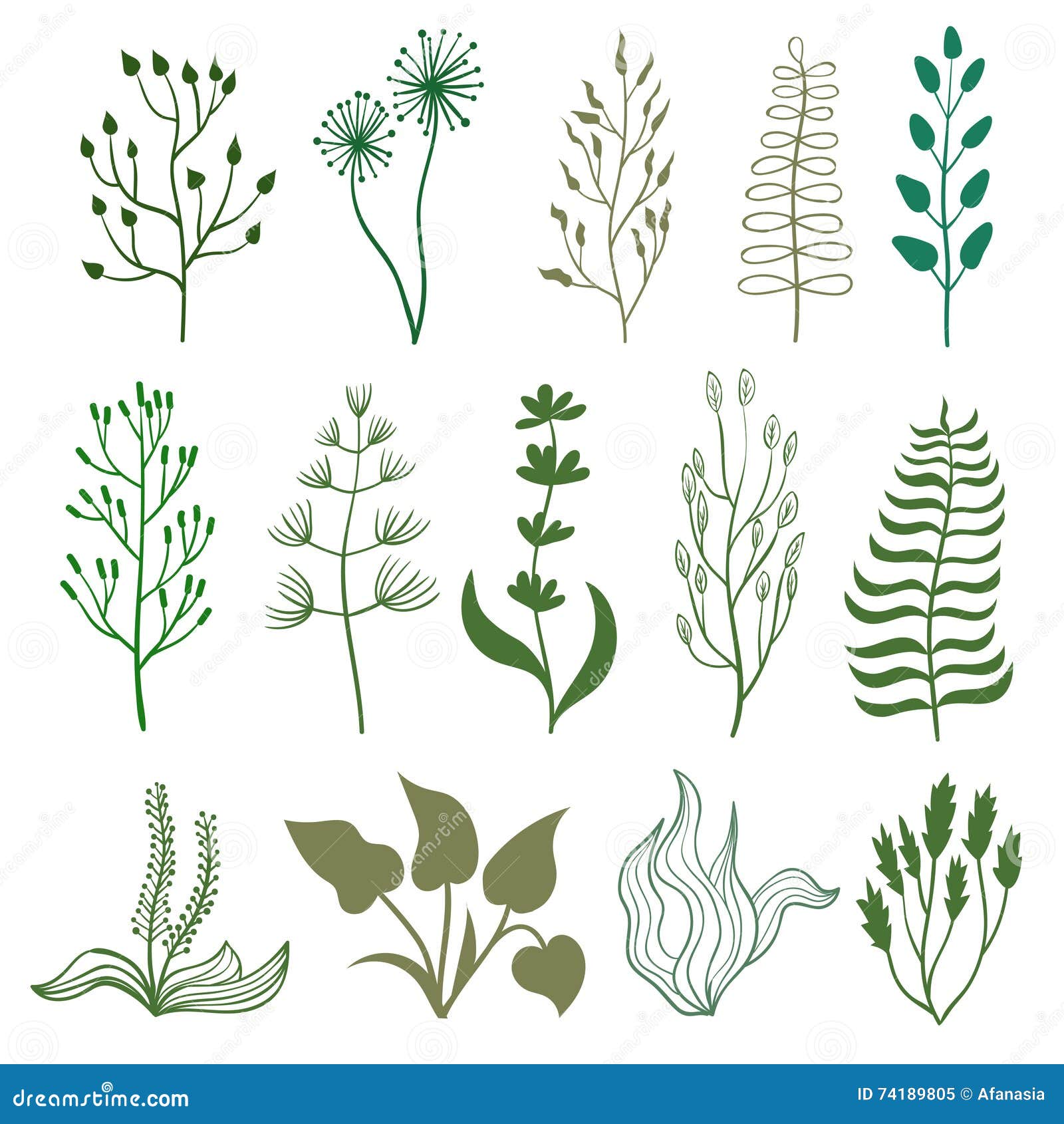 Set of Hand Drawn Herbs. Doodle Branches Isolated on White Stock Vector ...