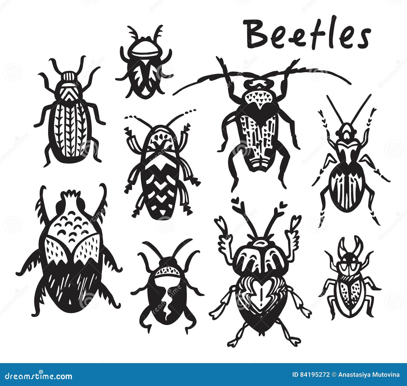 Set of Hand Drawn Ink Bugs, Beetles Stock Vector - Illustration of ...