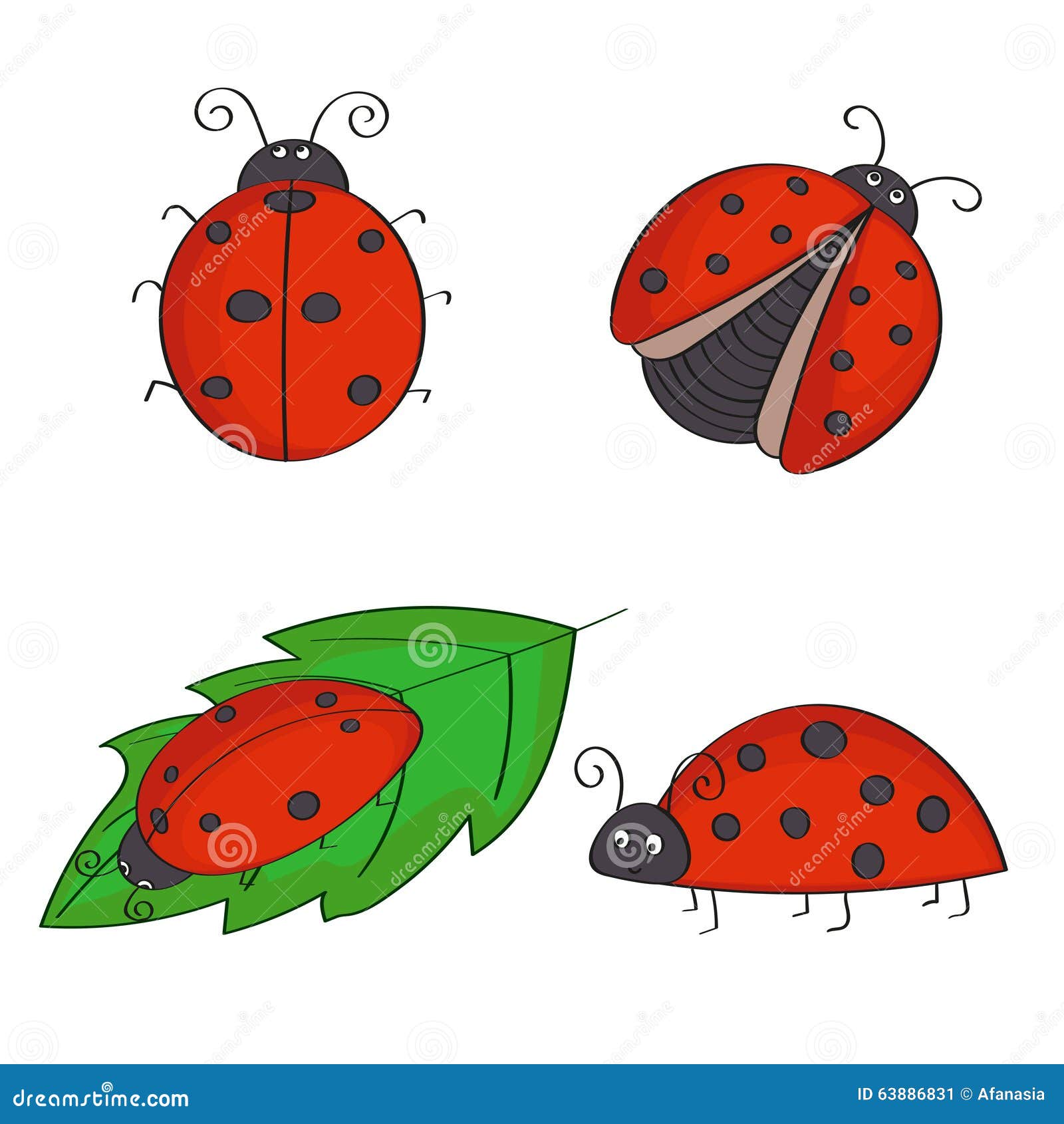 Set of Hand Drawn Ladybugs. Stock Vector - Illustration of drawing ...