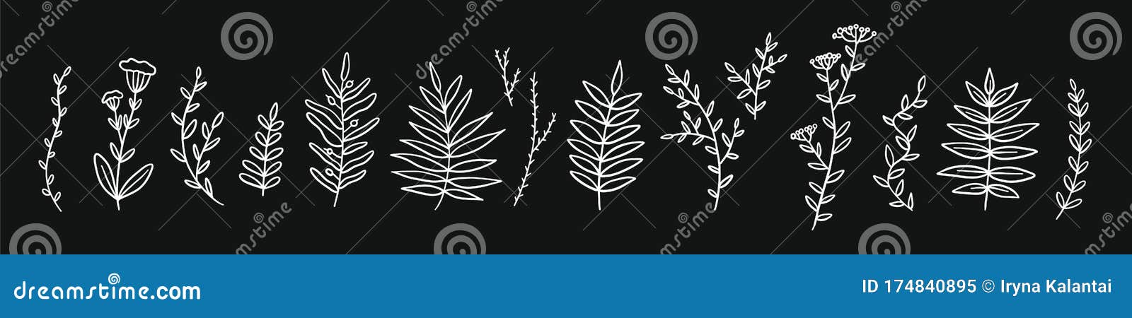 Set of Hand Drawn Line Twigs. Stock Vector Illustration Isolated. Stock ...
