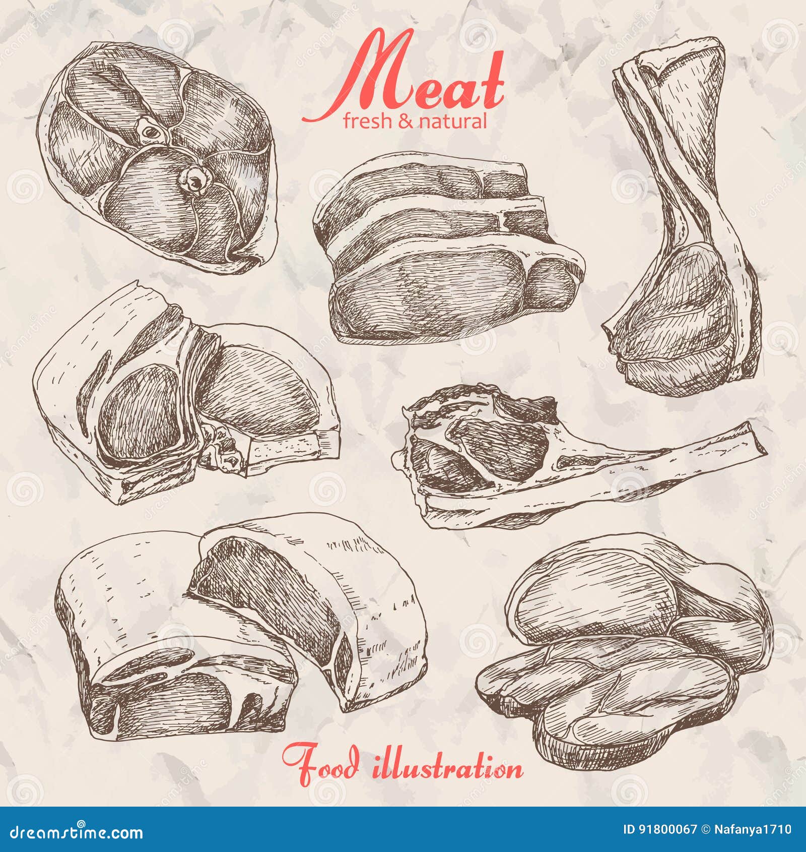 Set of Hand Drawn Meat on Beige Background Stock Vector - Illustration ...