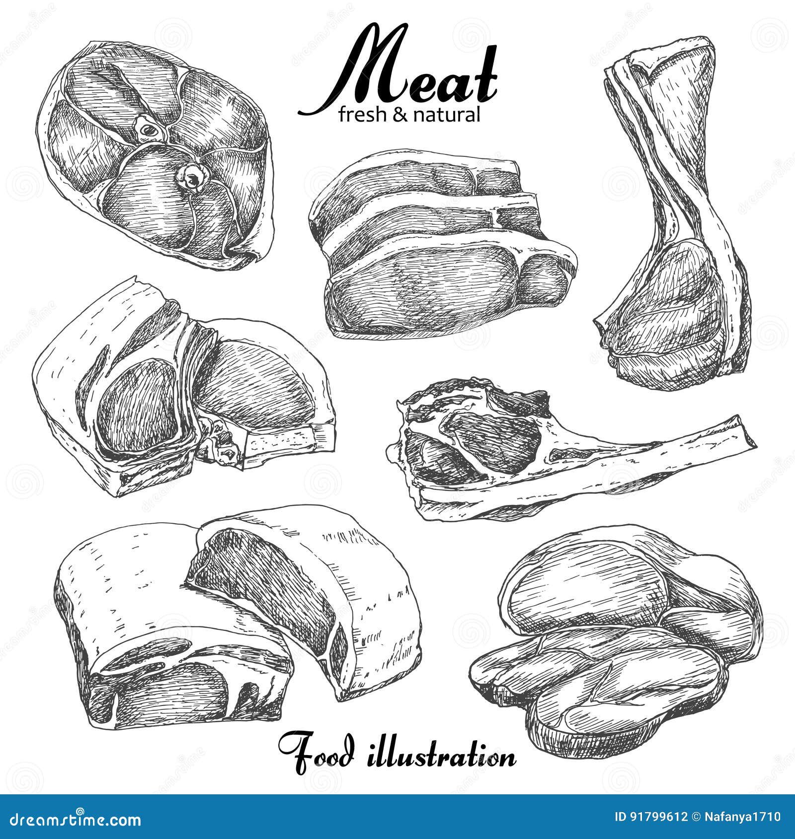 Set of Hand Drawn Meat Isolated on White Background Stock Vector ...