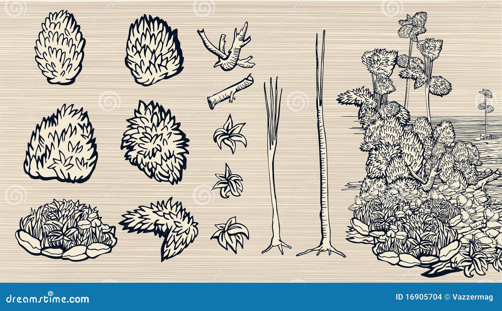 Set of Hand-drawn Nature Elements. Stock Vector - Illustration of bush ...