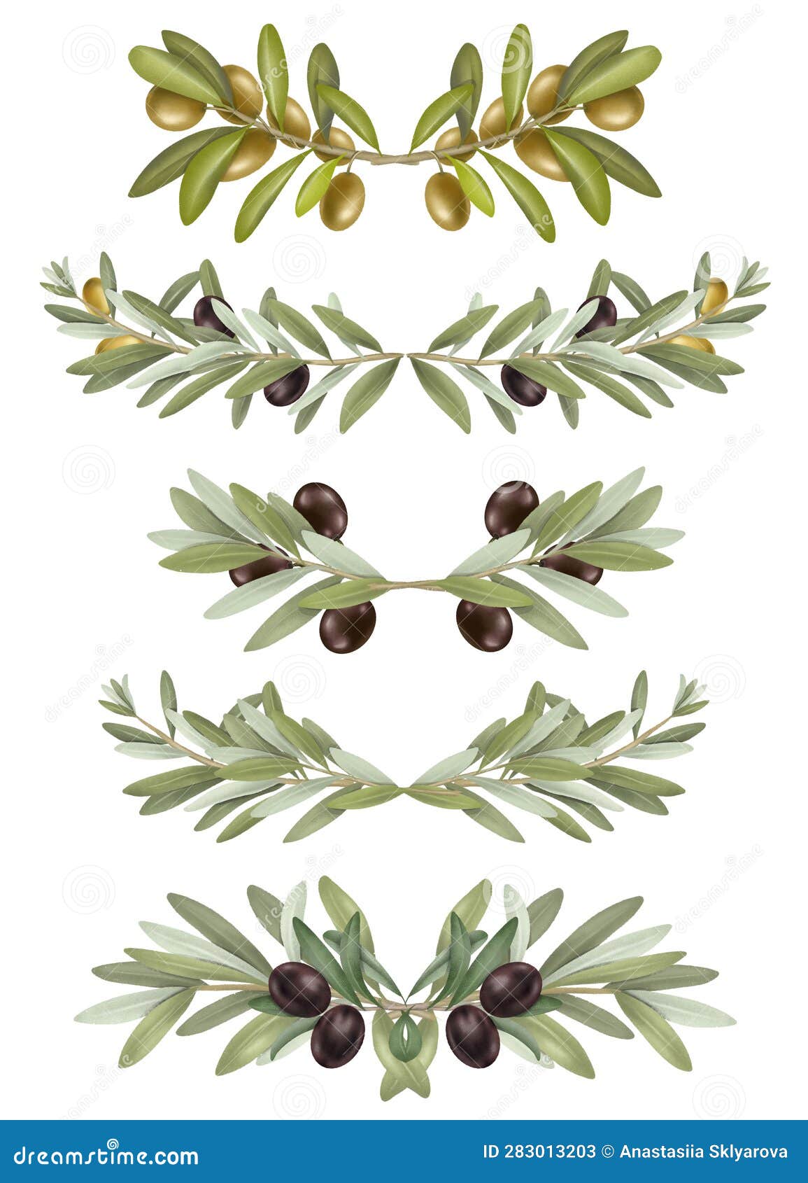 Set of Hand Drawn Olive Tree Branches Arrangements and Borders Stock ...