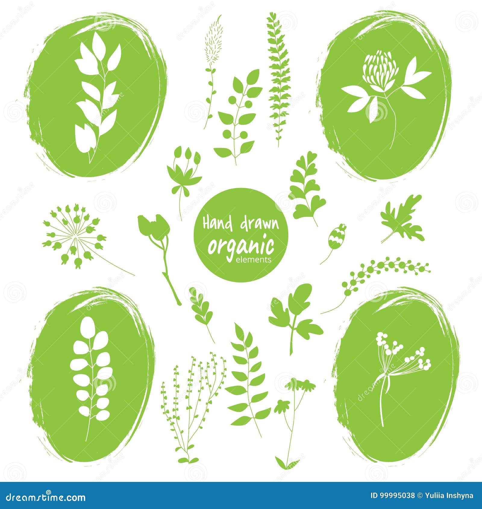 Set of Hand Drawn Organic Elements Stock Vector - Illustration of ...