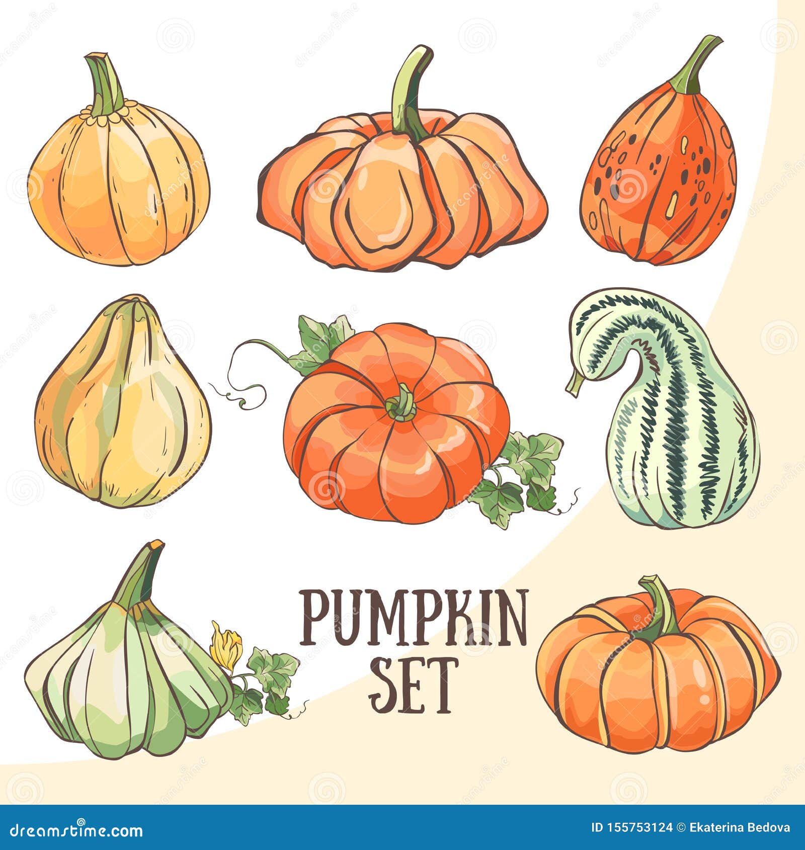 Set of hand drawn pumpkins stock vector. Illustration of beauty - 155753124