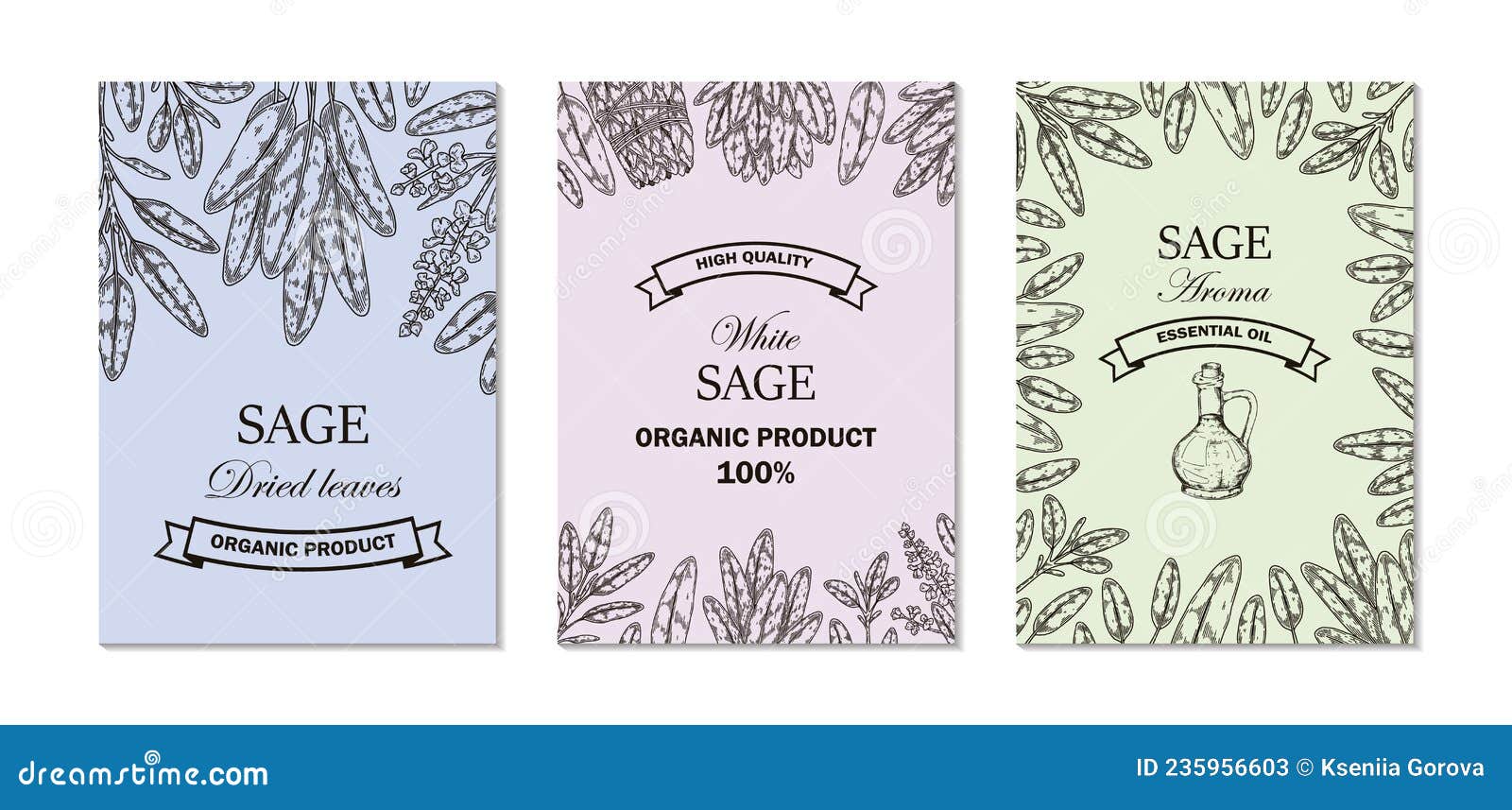 Set of Hand Drawn Sage Designs. Vector Illustration in Sketch Style ...