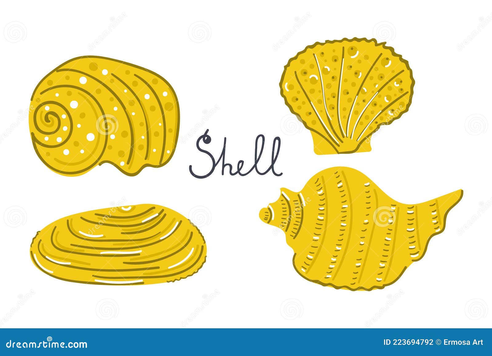 Set of Hand Drawn Sea Shells. Stock Vector - Illustration of nautical ...