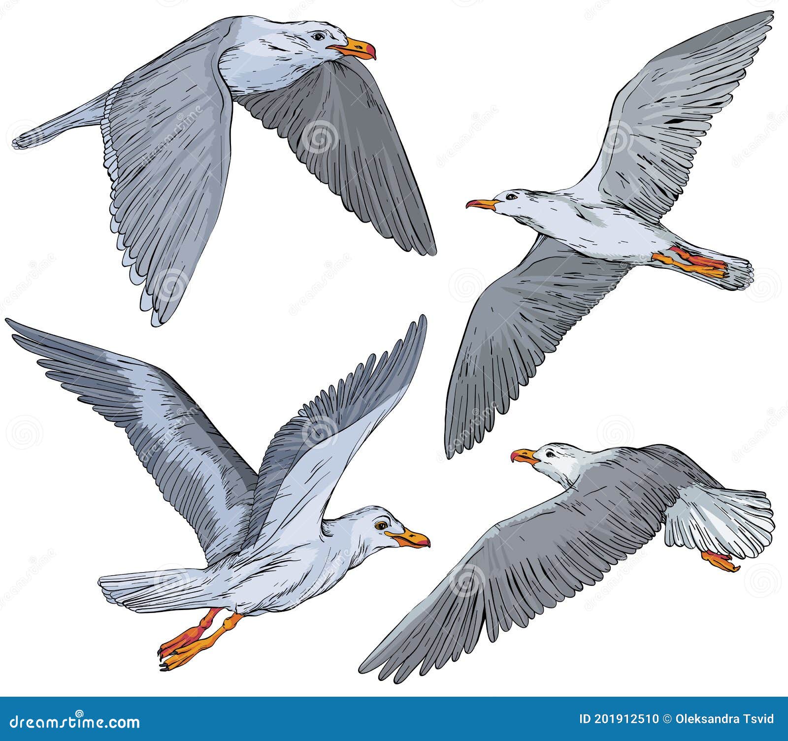 Set of hand drawn seagulls stock vector. Illustration of vector - 201912510