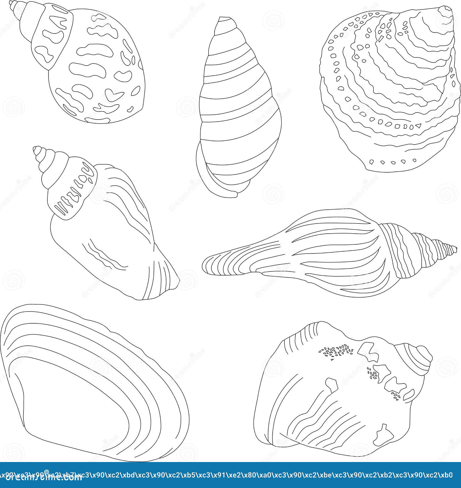 A Set of Hand-drawn Shells. Marine Kit Stock Vector - Illustration of ...