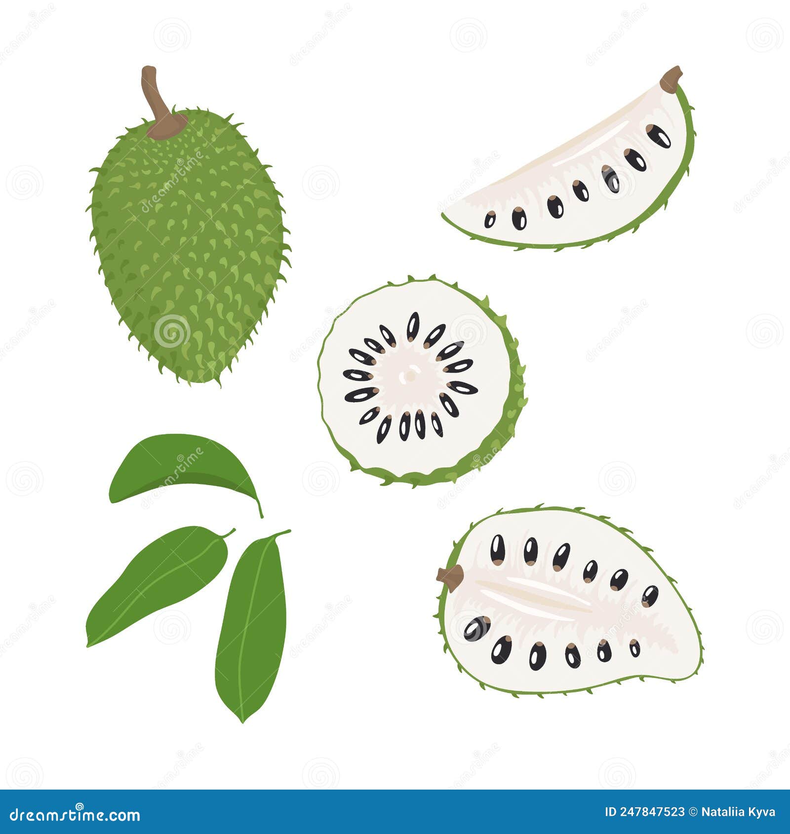 Bonelet Cartoons, Illustrations & Vector Stock Images - 33 Pictures to ...