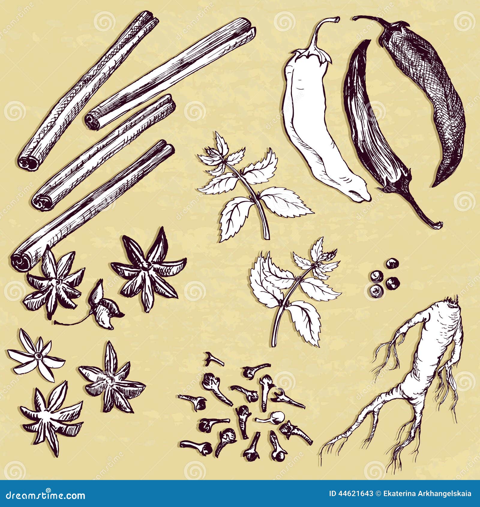 Set of hand drawn spices stock vector. Illustration of line - 44621643