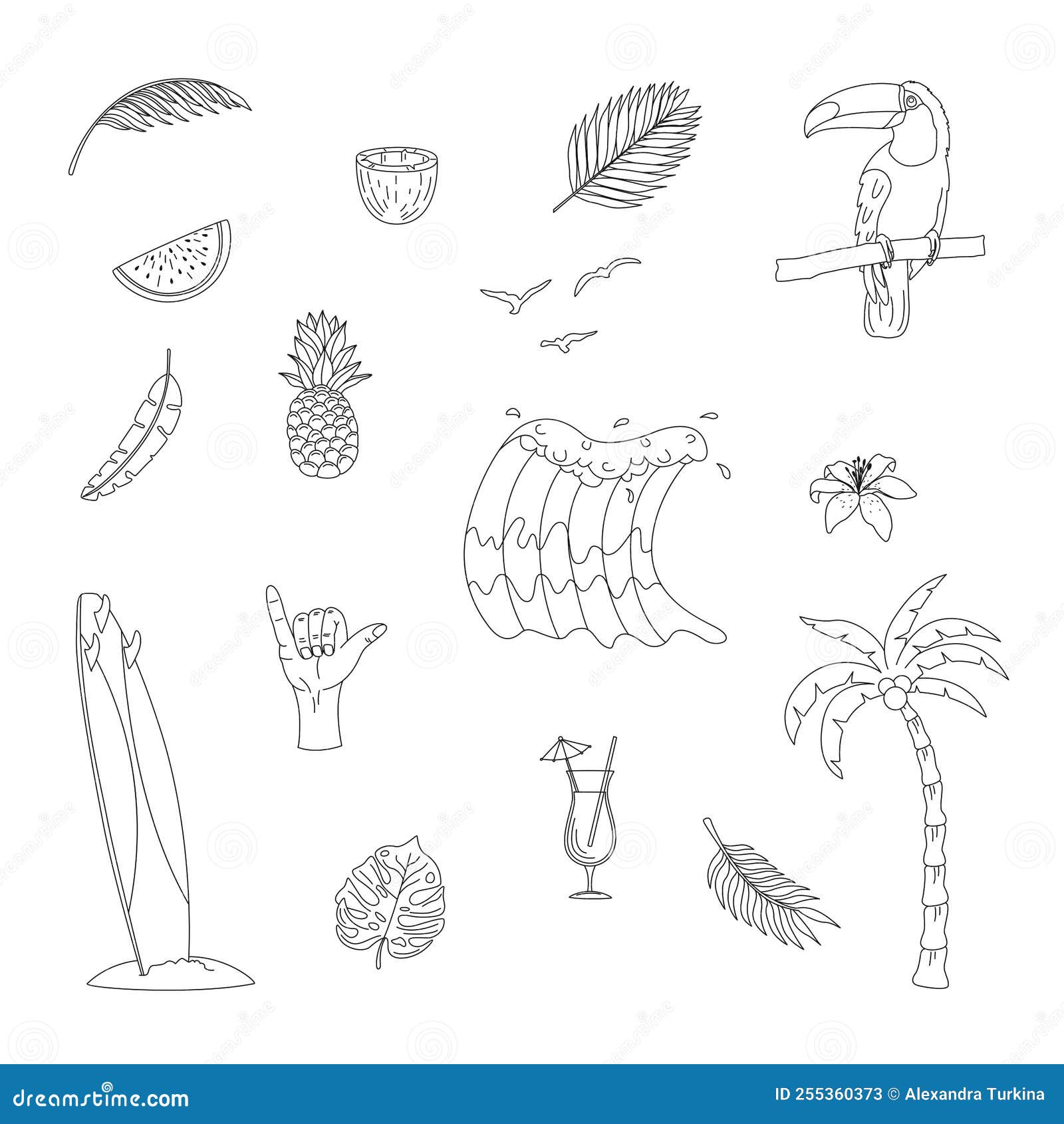 A Set of Hand Drawn Surfing Elements. Waves, Surfboard, Palm Trees ...