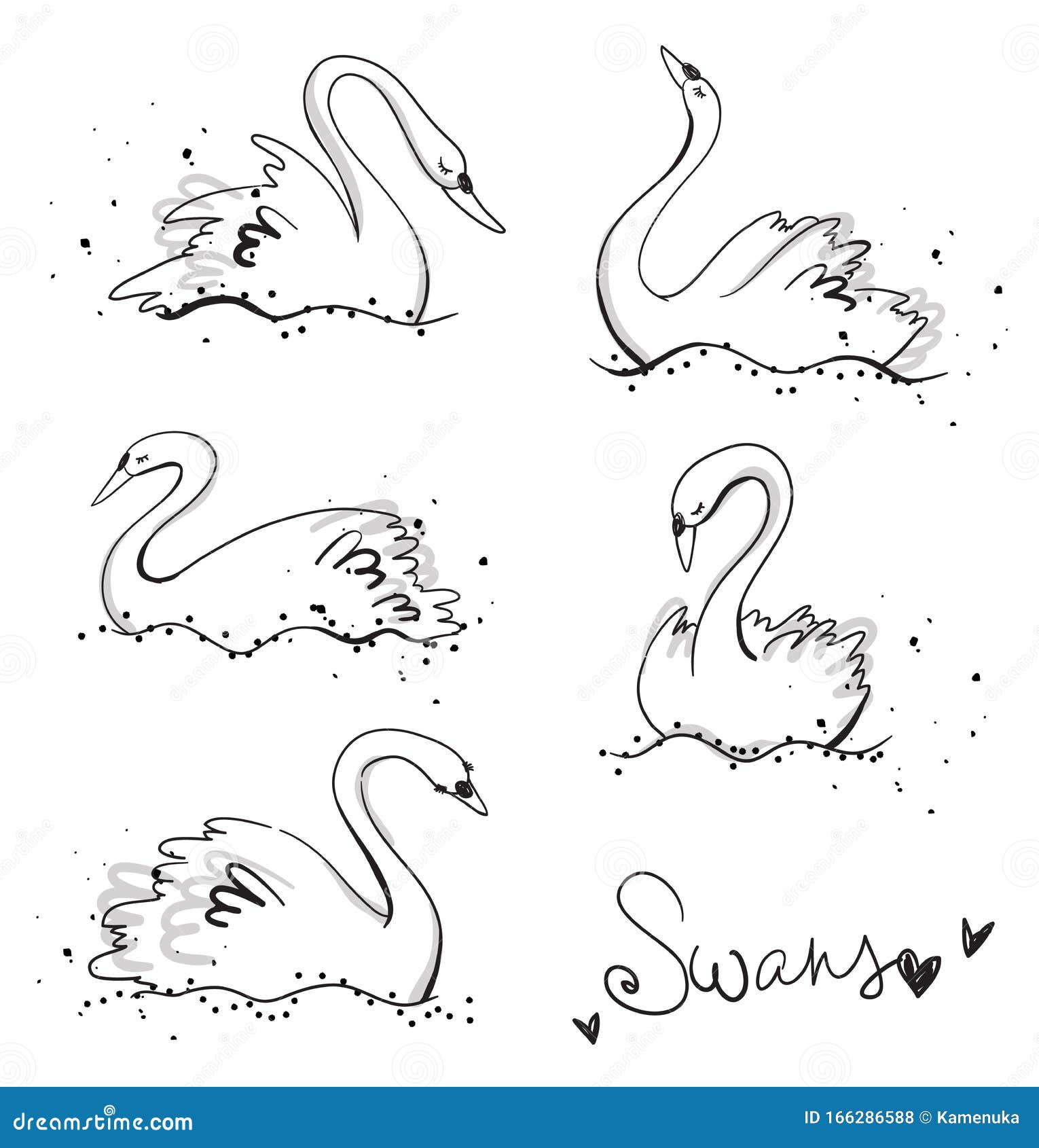 Set of Hand Drawn Swans, Line Art, Vector Illustration Stock Vector ...