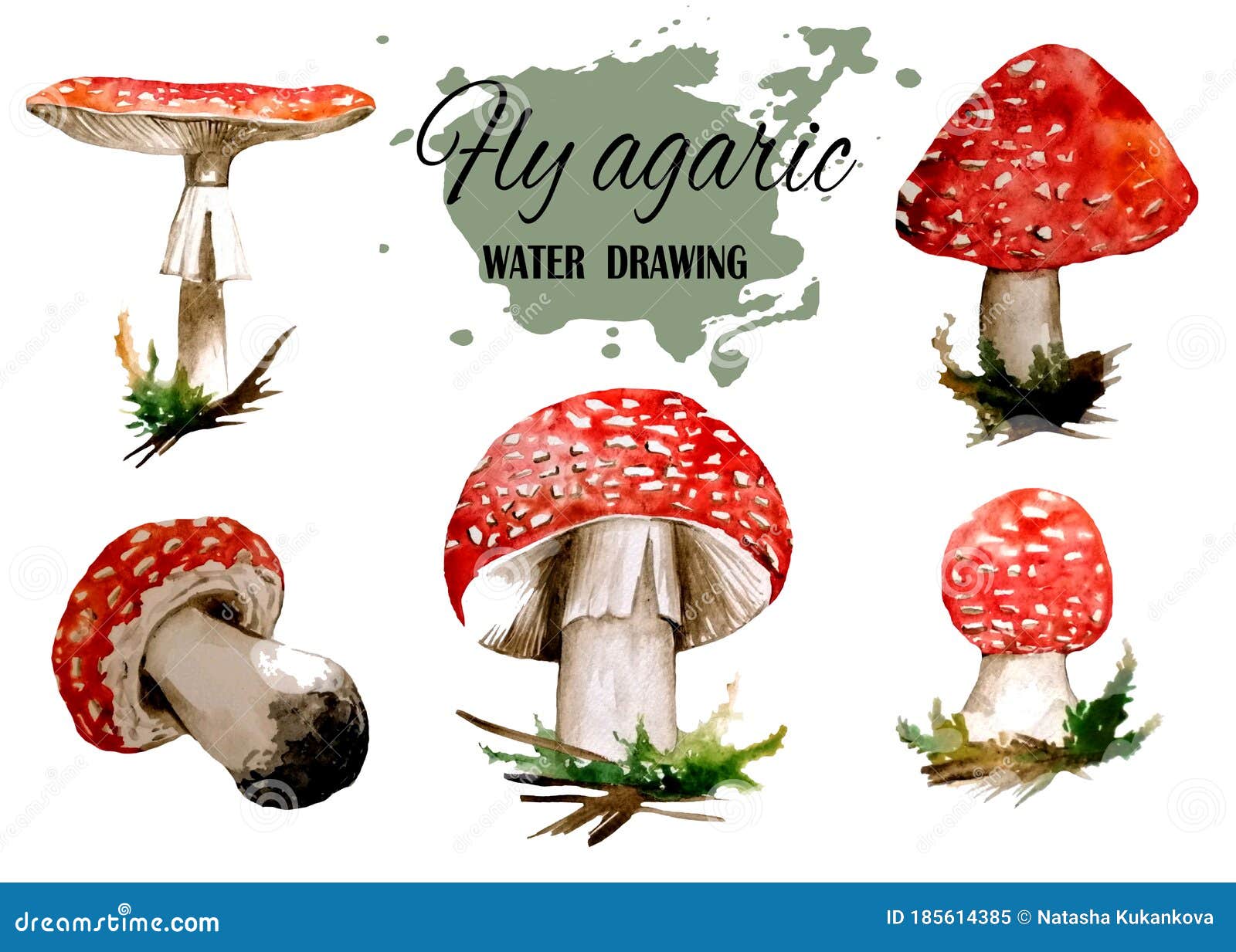 A Set of Hand-drawn Toadstools. Watercolor. Illustration Stock ...