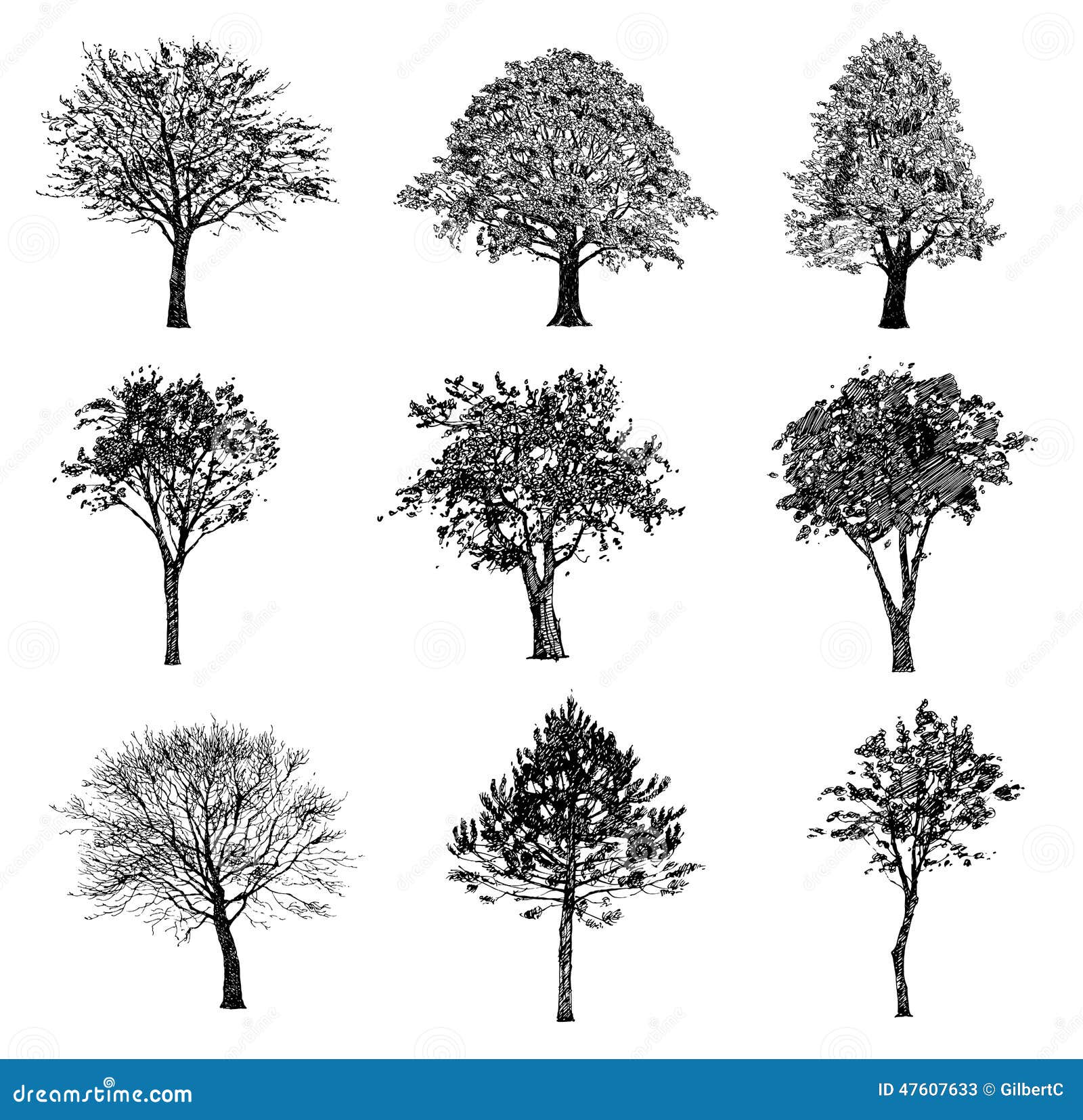 Set of hand drawn trees. stock vector. Illustration of design - 47607633