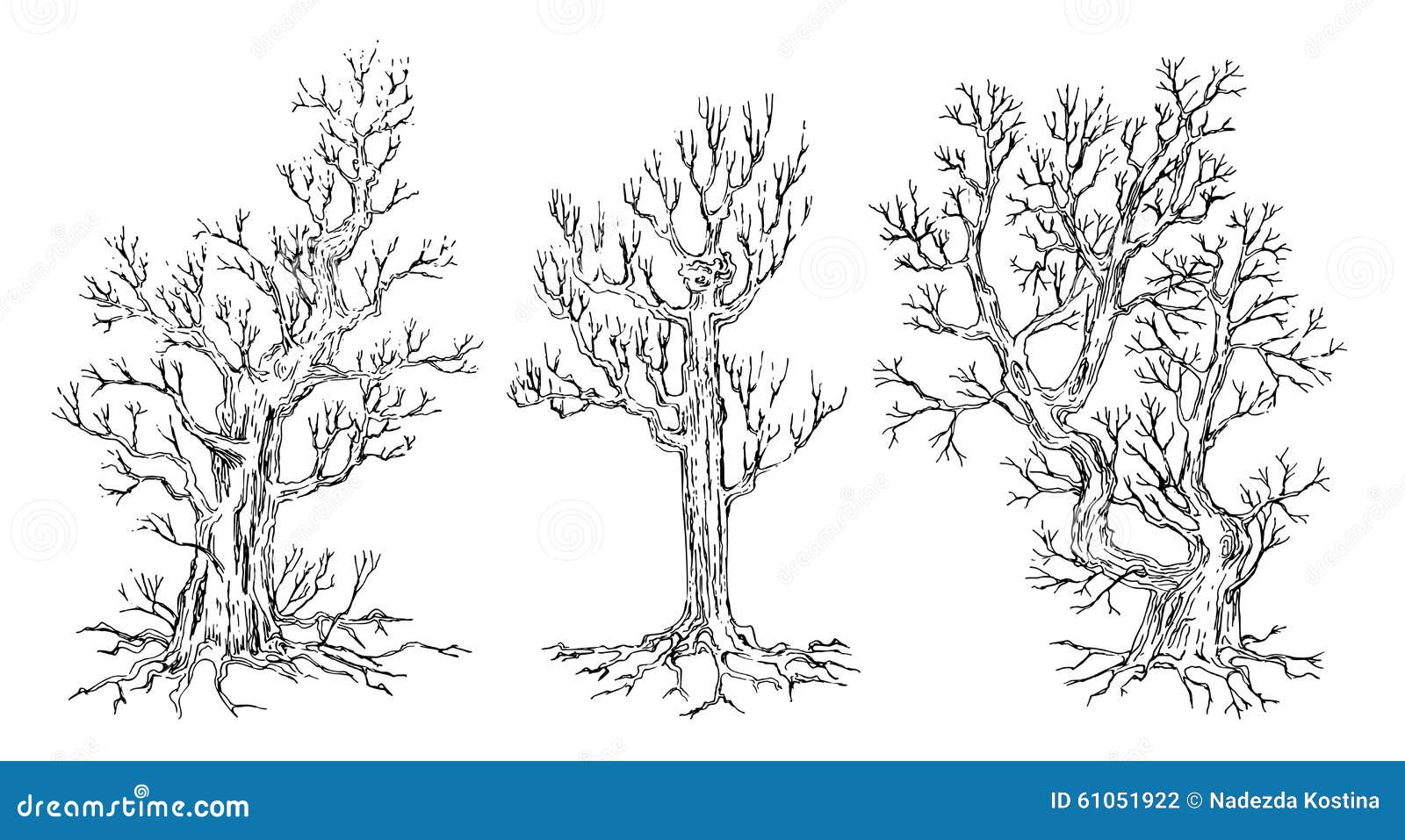 Set of hand drawn trees stock vector. Illustration of autumn - 61051922