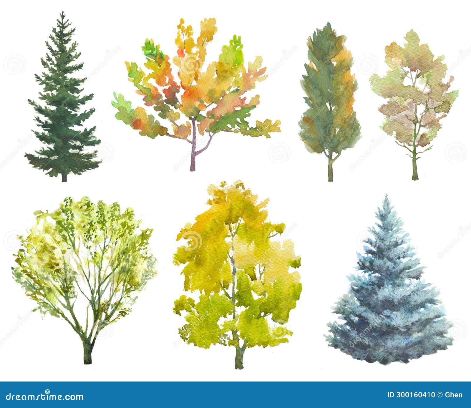 Set of Hand Drawn Trees with Summer and Autumn Colors, on White Stock ...