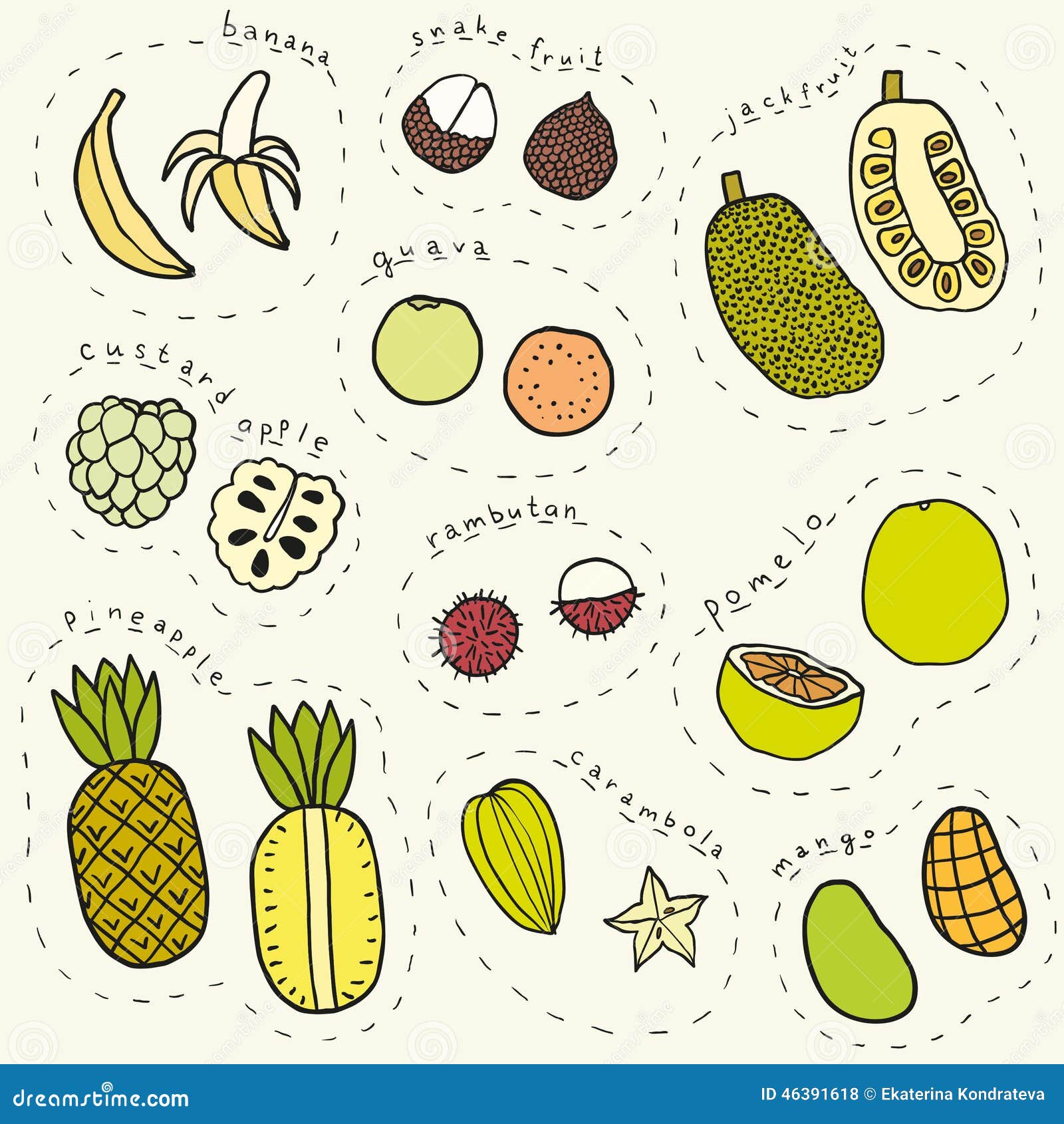 Set of Hand Drawn Tropical Fruits Part 1 Stock Vector - Illustration of ...