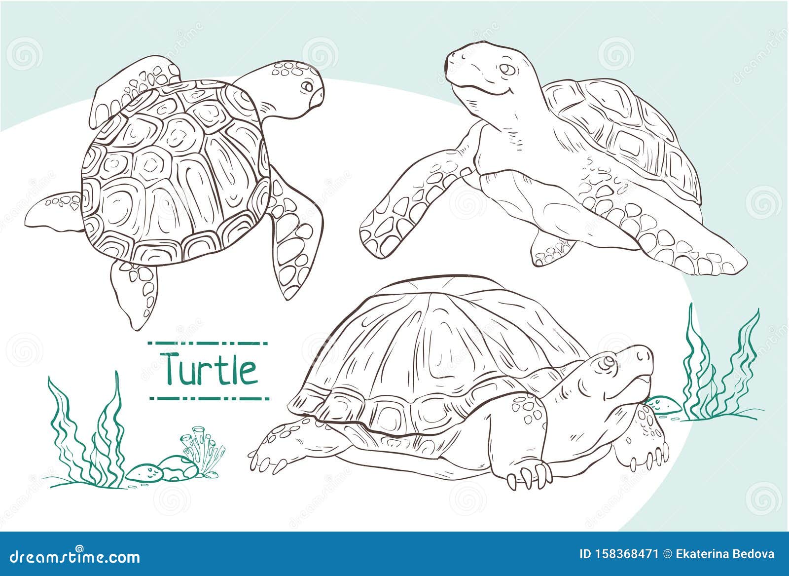 Set of Cute Hand Drawn Turtles. Three Cartoon Turtles Stock Vector ...