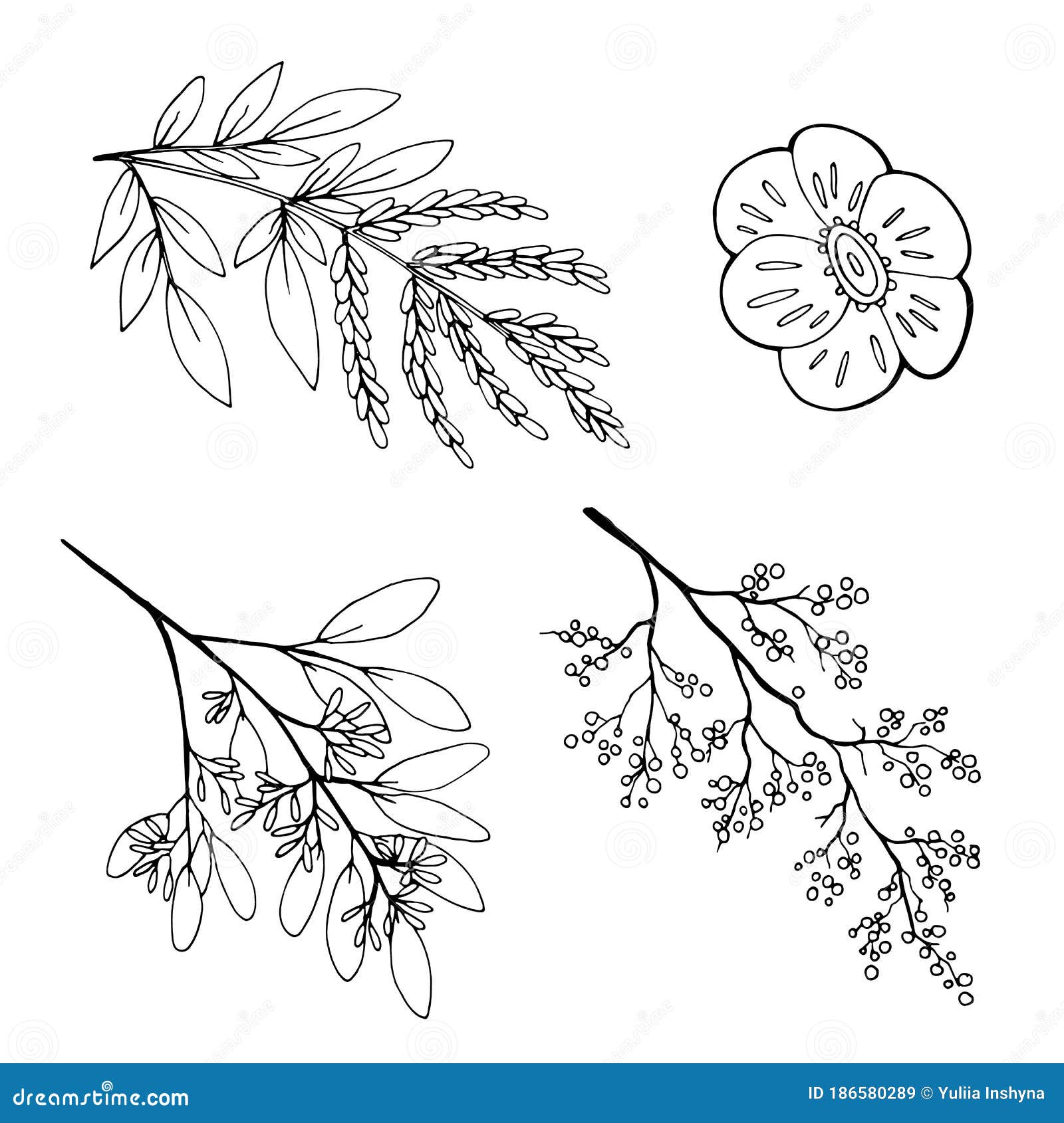 Set of Hand Drawn Twigs, Sketch Plants Isolated on White Stock Vector ...