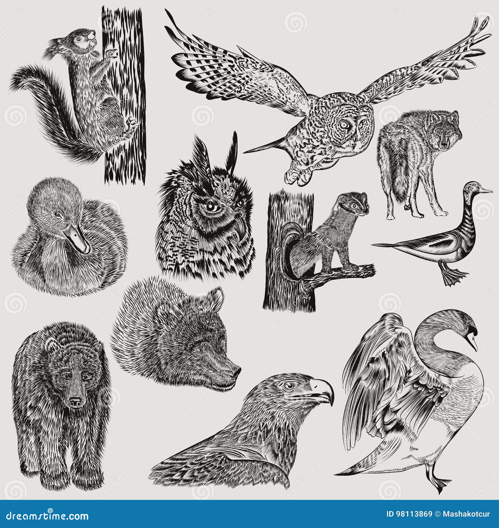 Set of Hand Drawn Vector Animals Stock Vector - Illustration of elegant ...