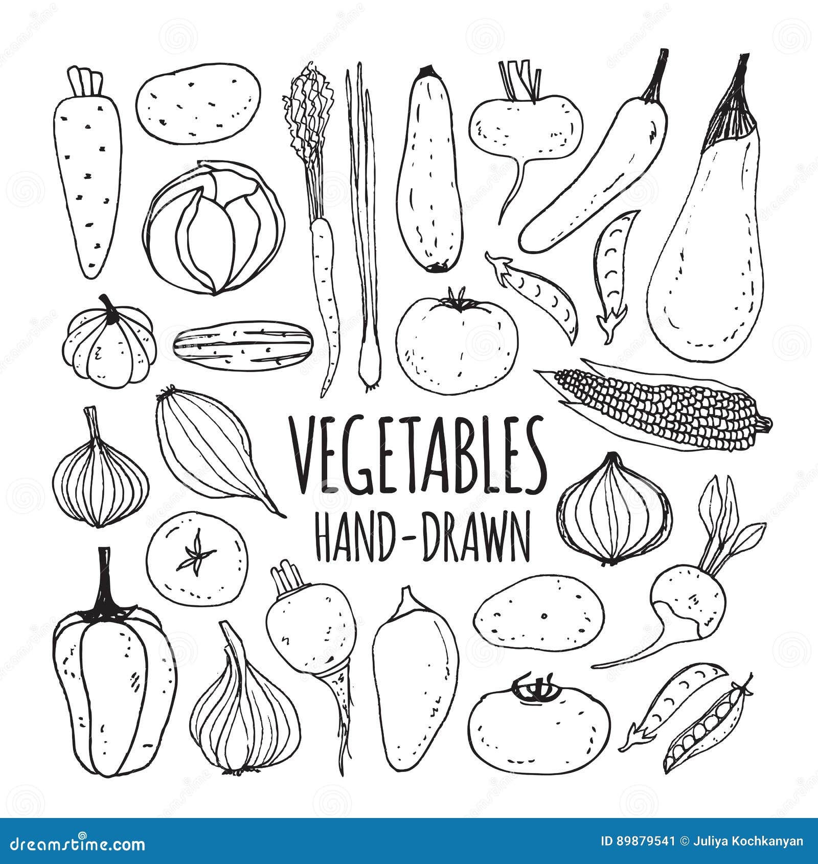 Set hand drawn vegetables stock vector. Illustration of garden - 89879541
