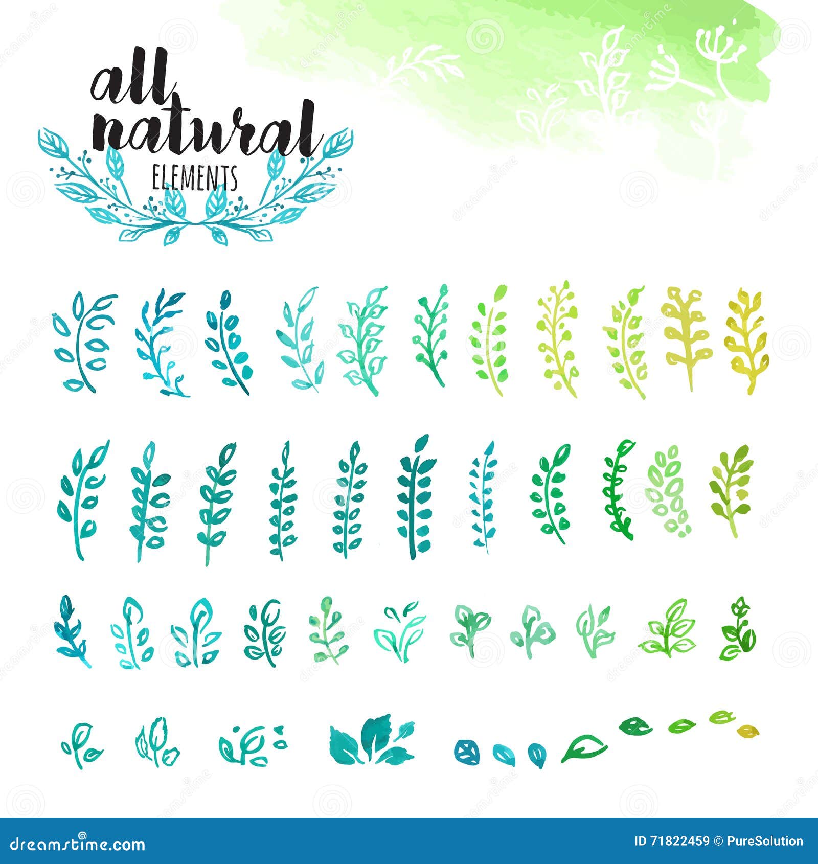 Set of Hand Drawn Watercolor Natural Elements, Leaves and Tree Branches ...