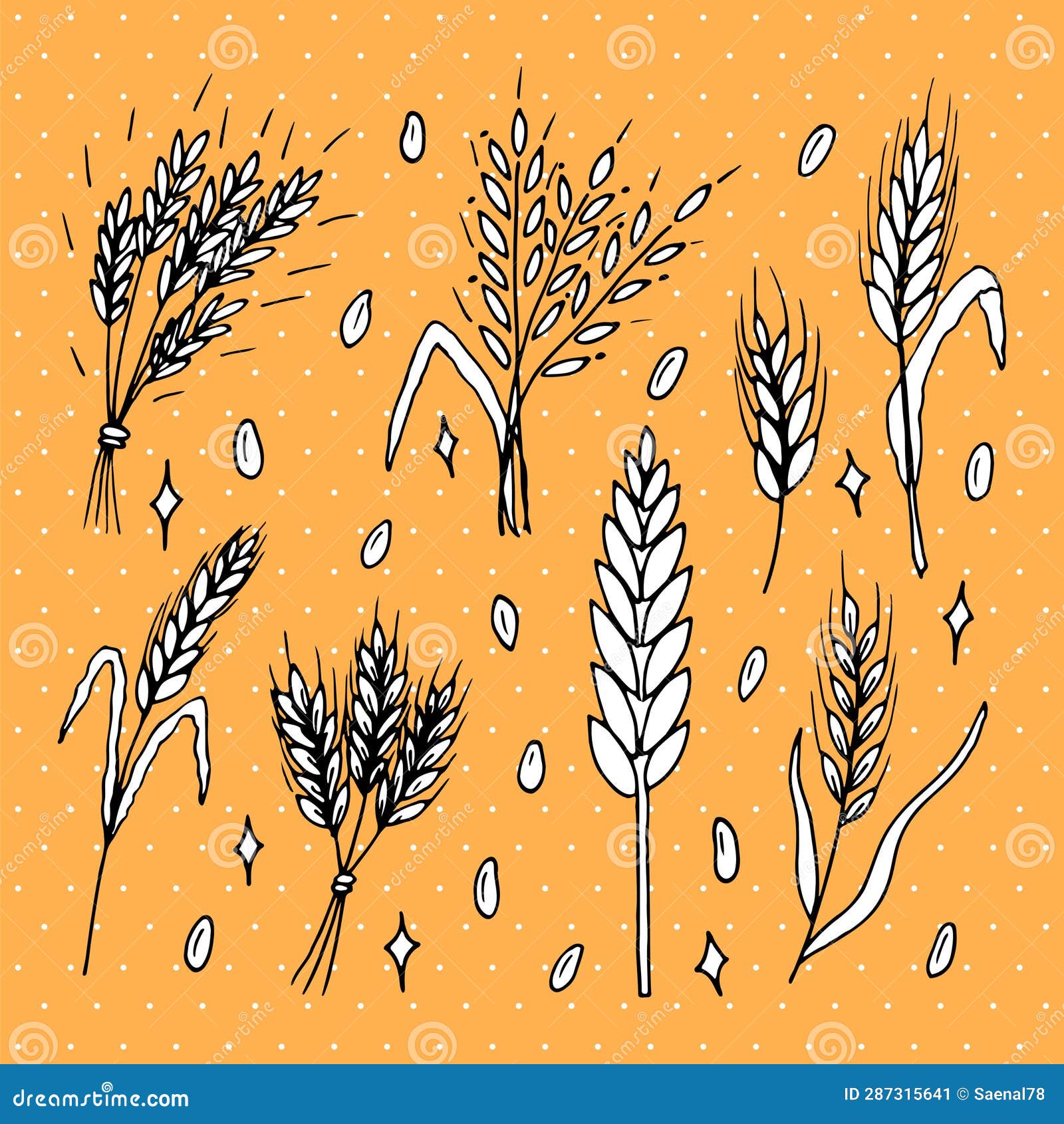 Set of Hand Drawn Wheat Ears. Grain Spikelets. Doodle, Sketch Stock ...
