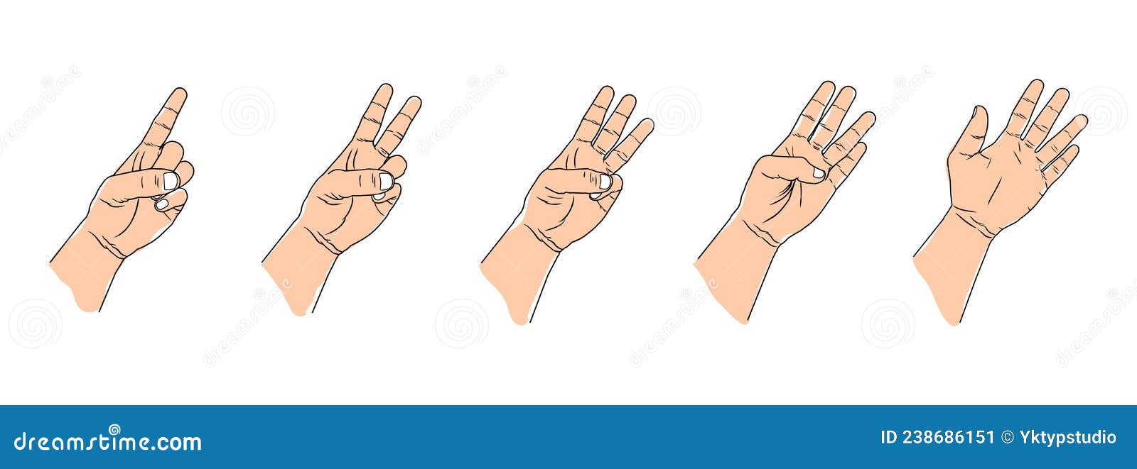 Set of Hand Gestures Showing Numbers Vector Illustration Stock Vector ...