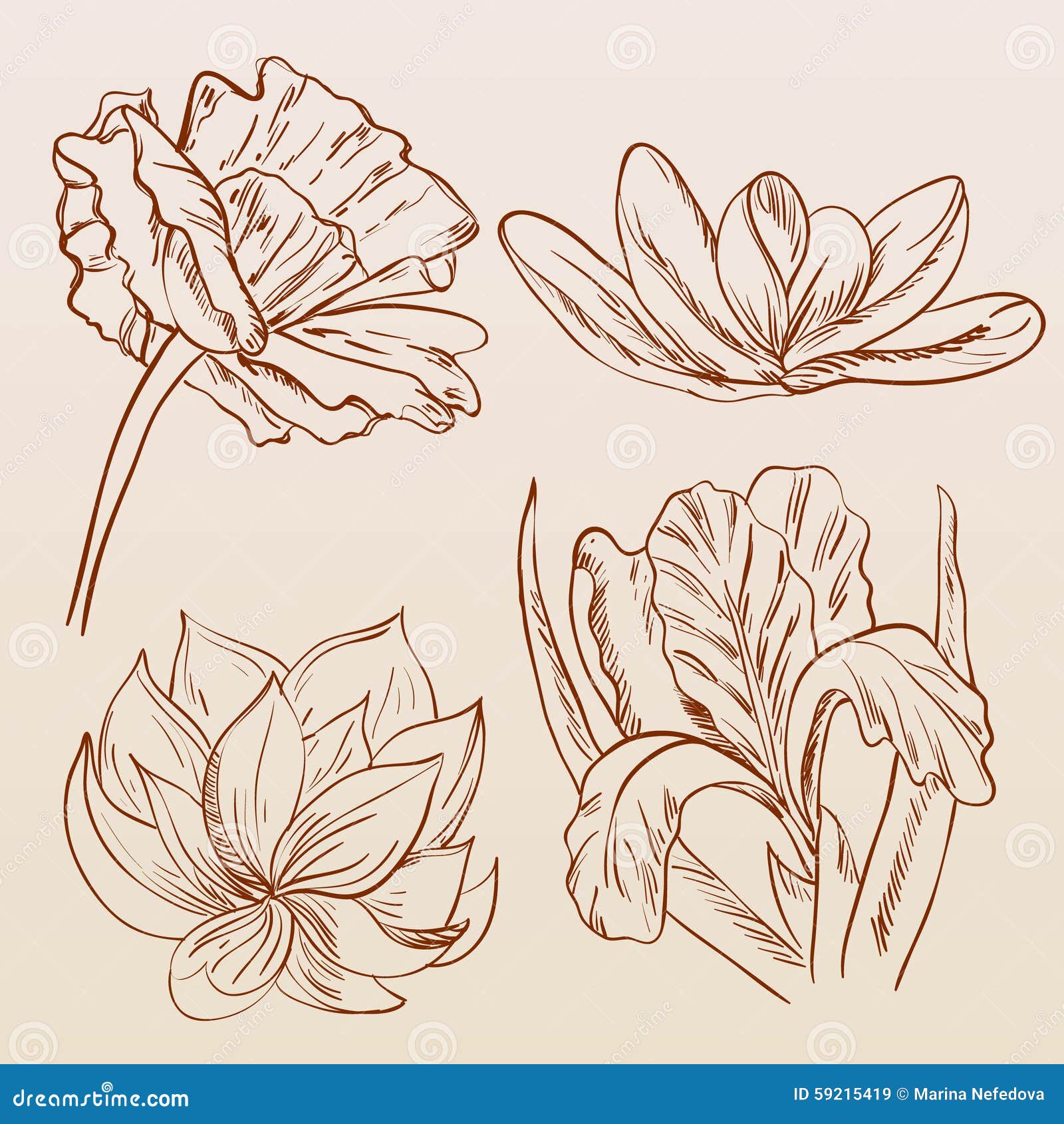 Set of Hand Painted Sketch Flowers. Stock Illustration - Illustration ...