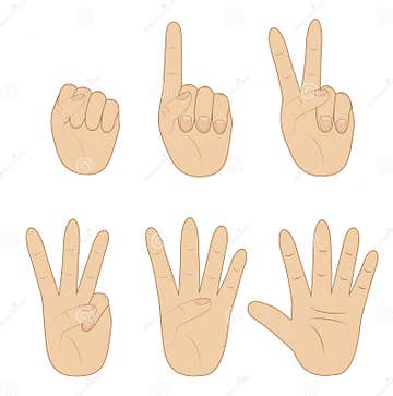 Set Hand, Showing Different Number on White Background Stock Vector ...