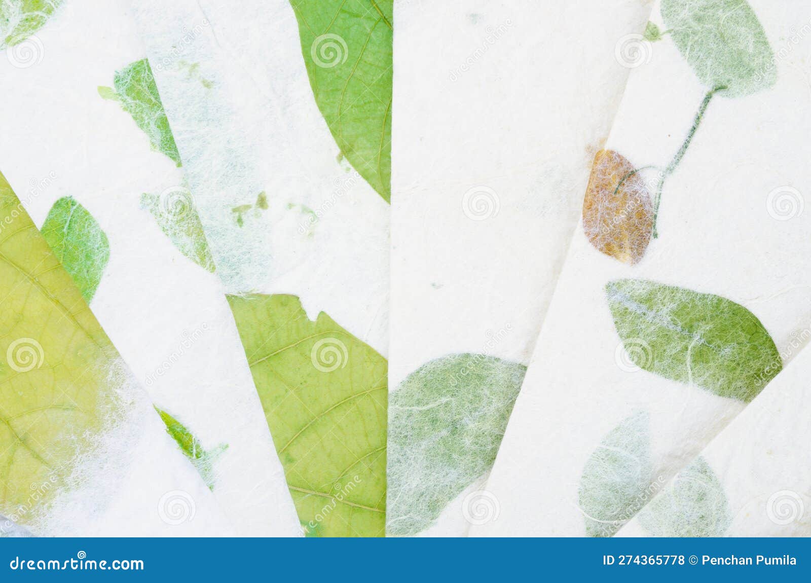 Set of the Handmade Recycled Flower and Leaf Paper Background Stock ...