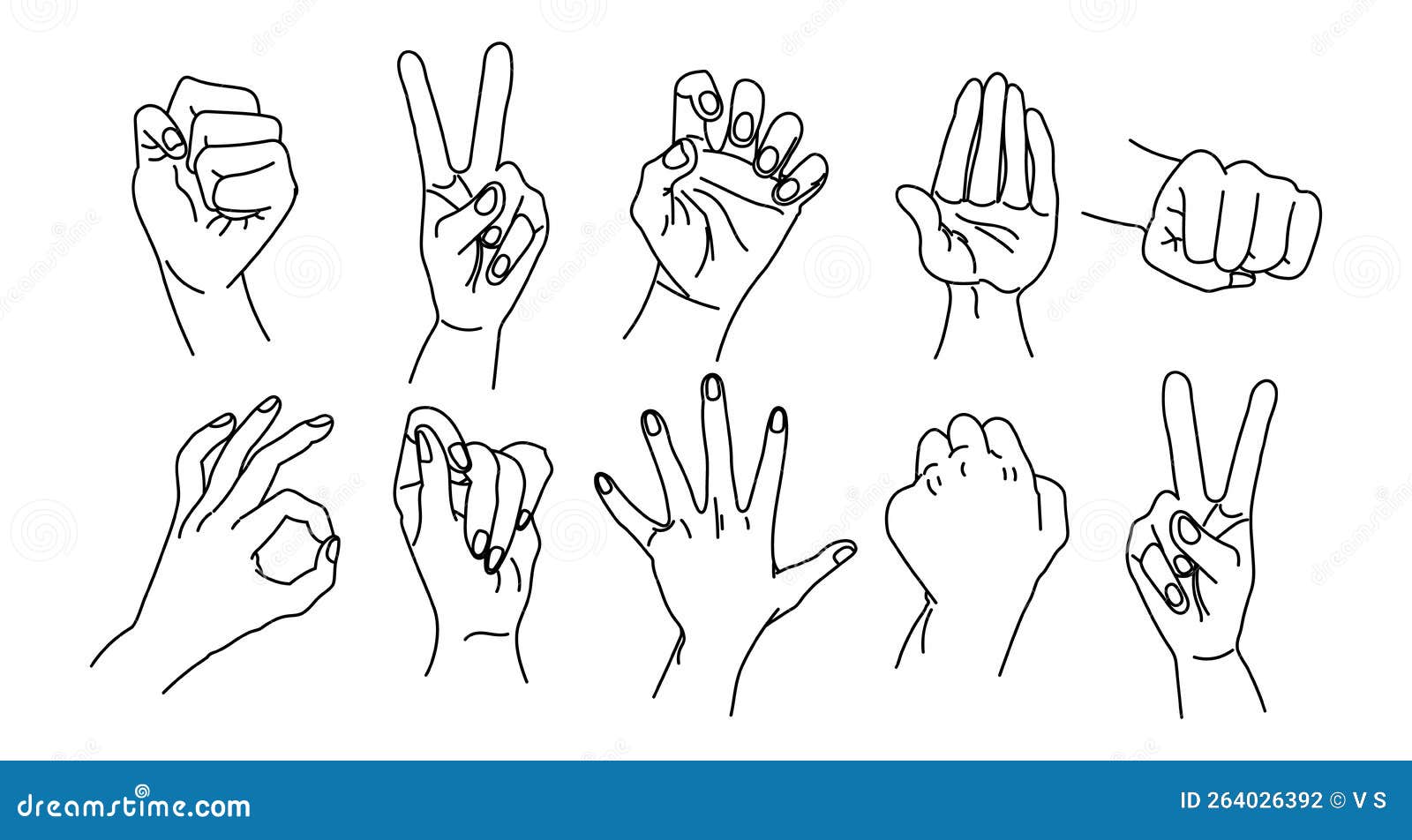 Set of Hands in a Collection of Various Gestures, Vector Illustration ...