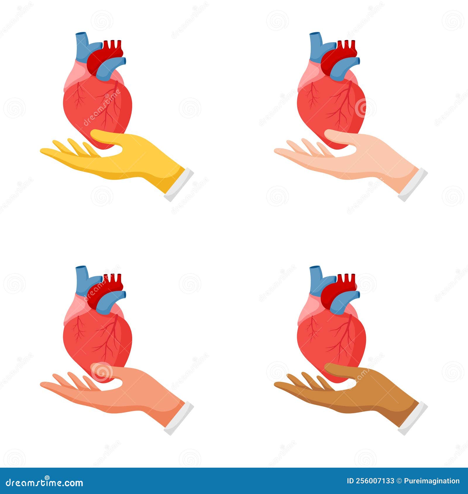 Set of Hands Gestures with Human Heart Stock Vector - Illustration of ...
