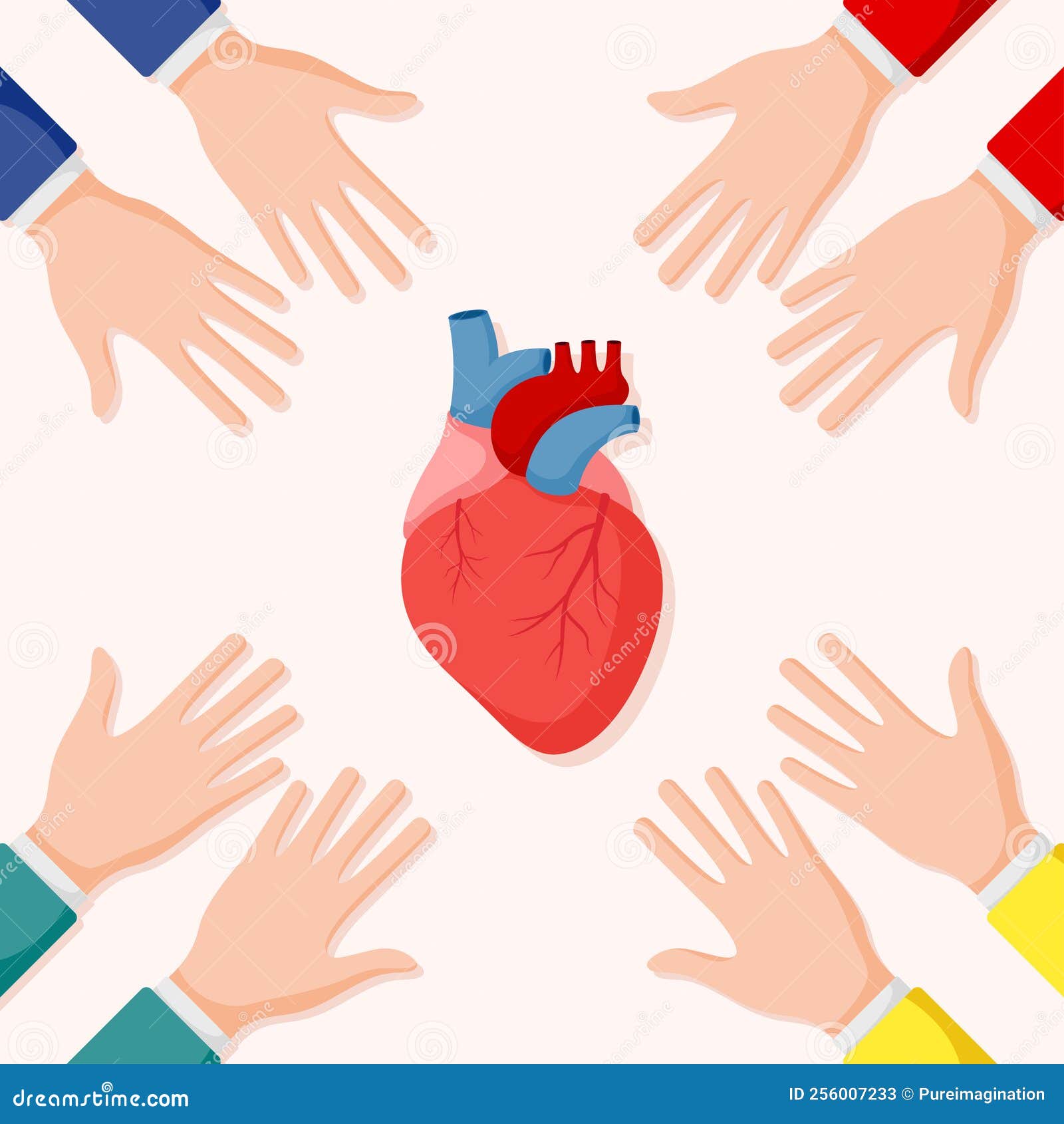 Set of Hands Gestures with Human Heart Stock Vector - Illustration of ...