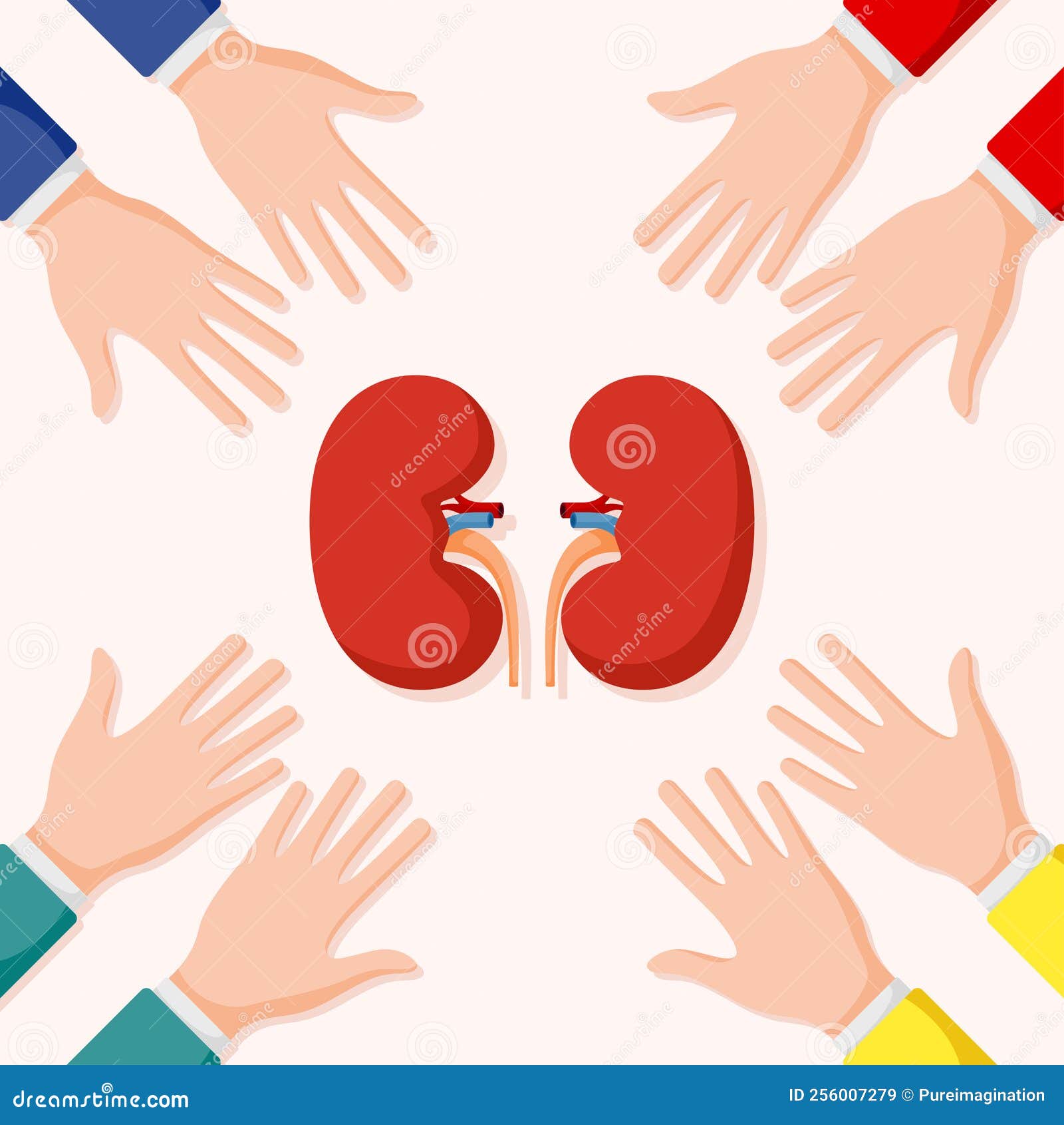 Set of Hands Gestures with Kidney Stock Vector - Illustration of hand ...