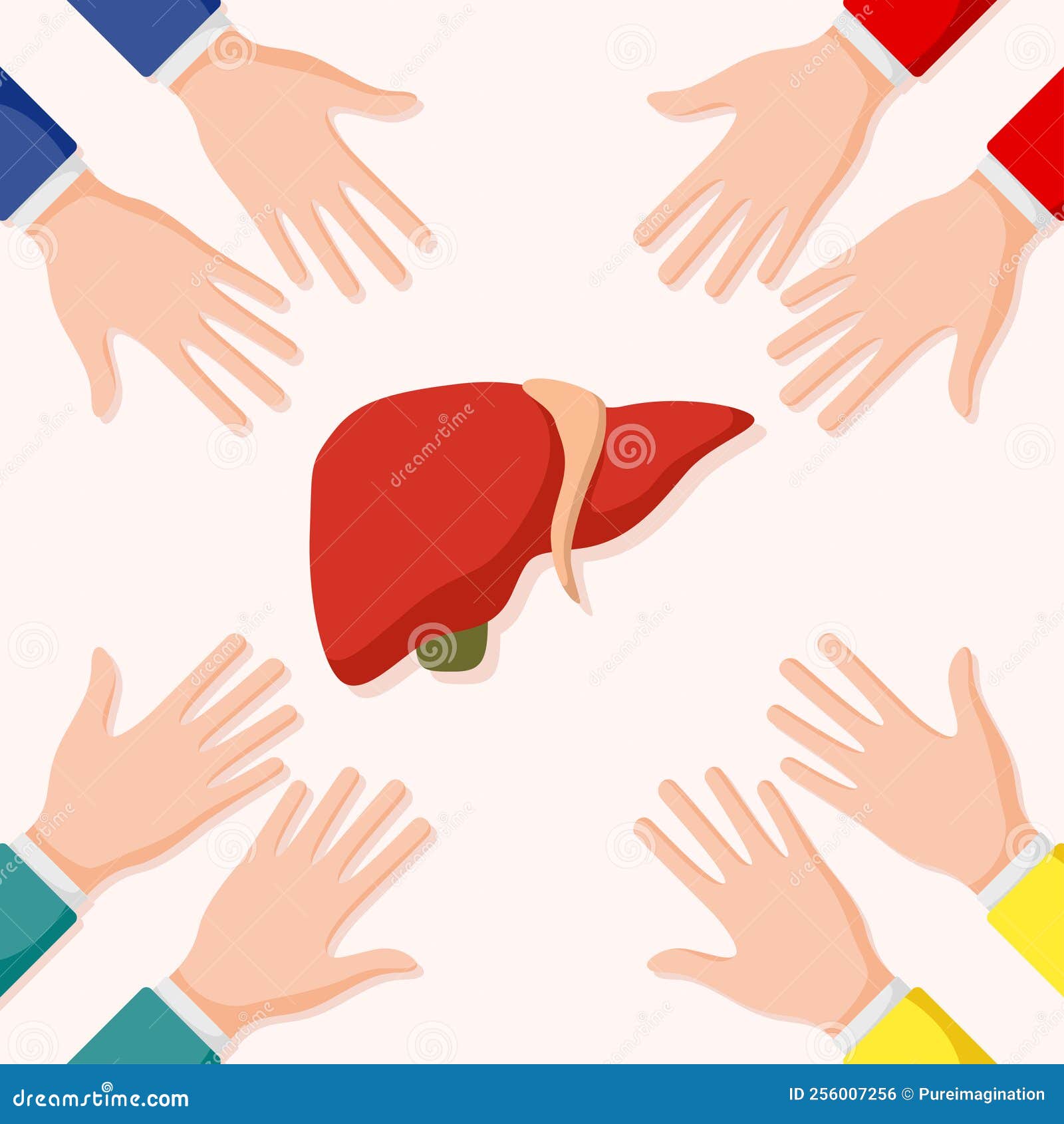 Set of Hands Gestures with Liver Stock Vector - Illustration of ...