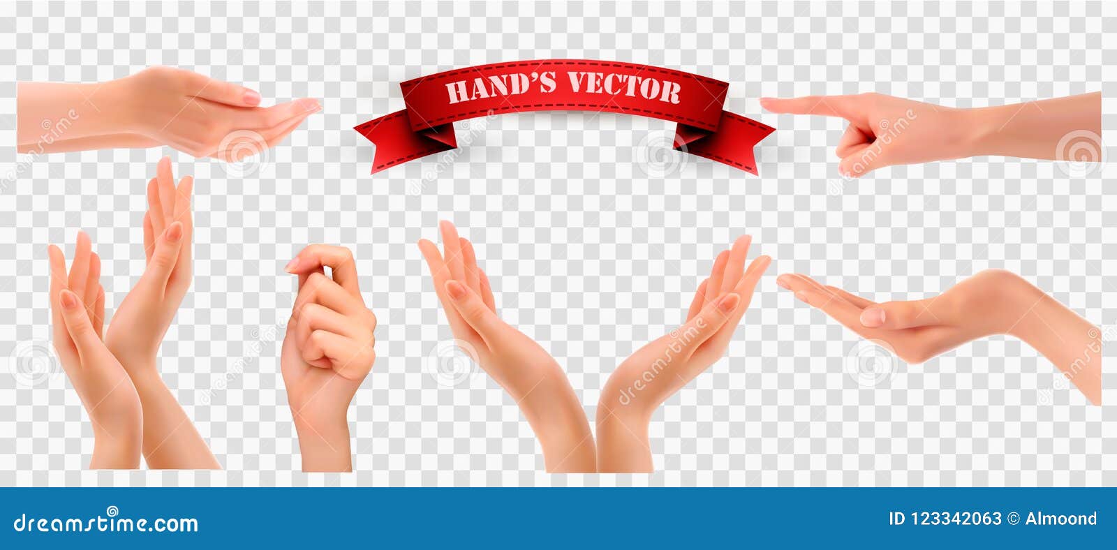 Hand Transparent Background