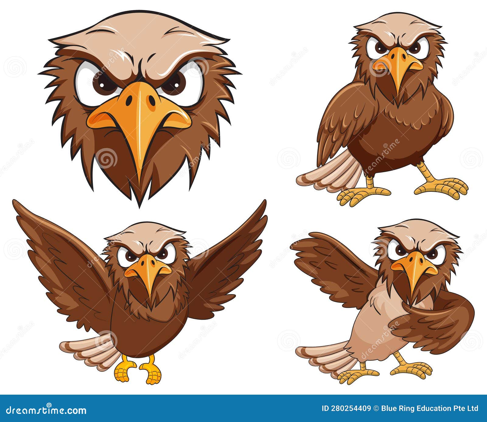 Hawk Cartoon Drawing