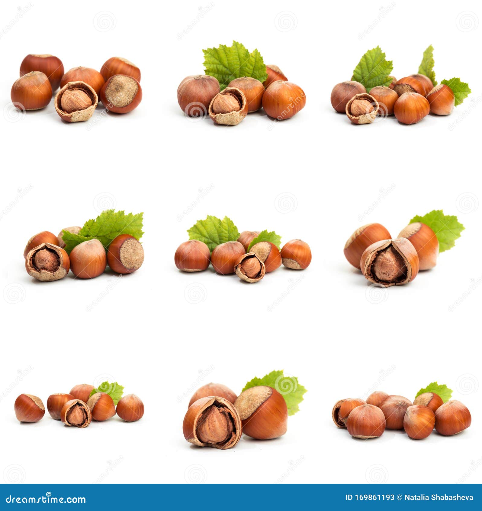 Set of Hazelnut Nut Many Leaves Isolated on a White Background As a ...